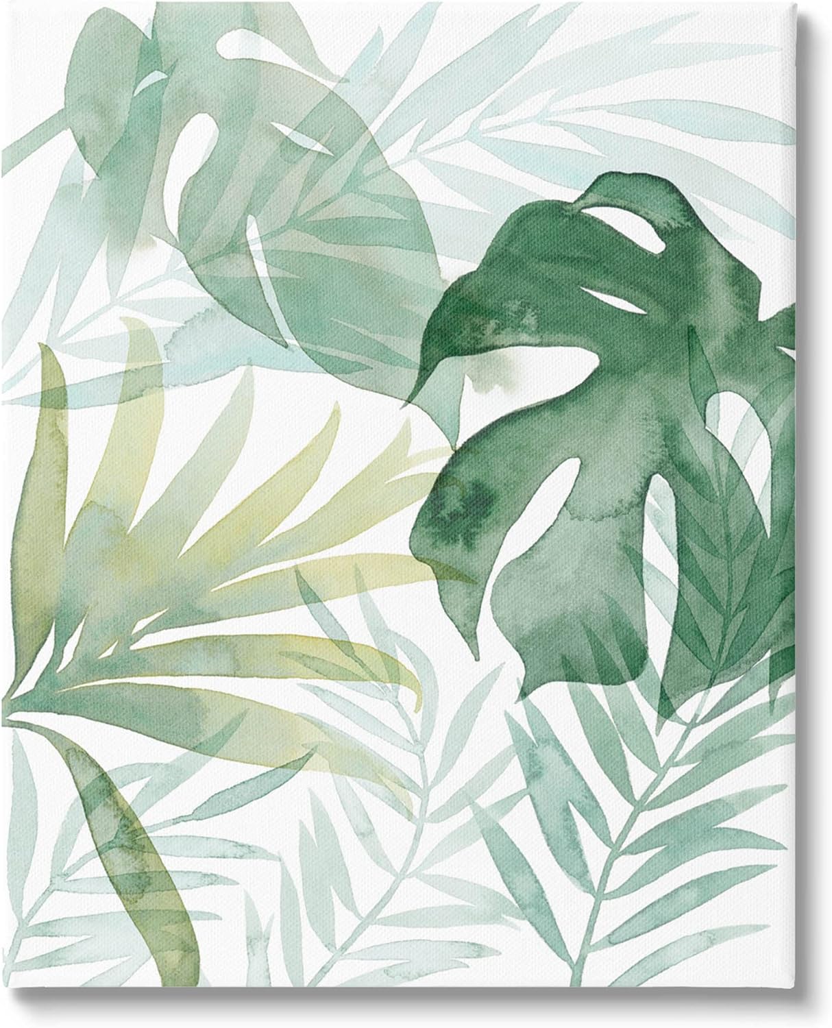 Amazon.com: Stupell Industries Monstera Overlapping Leaf Sprigs Canvas ...