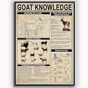 Amazon.com: Goat Science Metal Tin Signs Goat Knowledge Retro Metal ...
