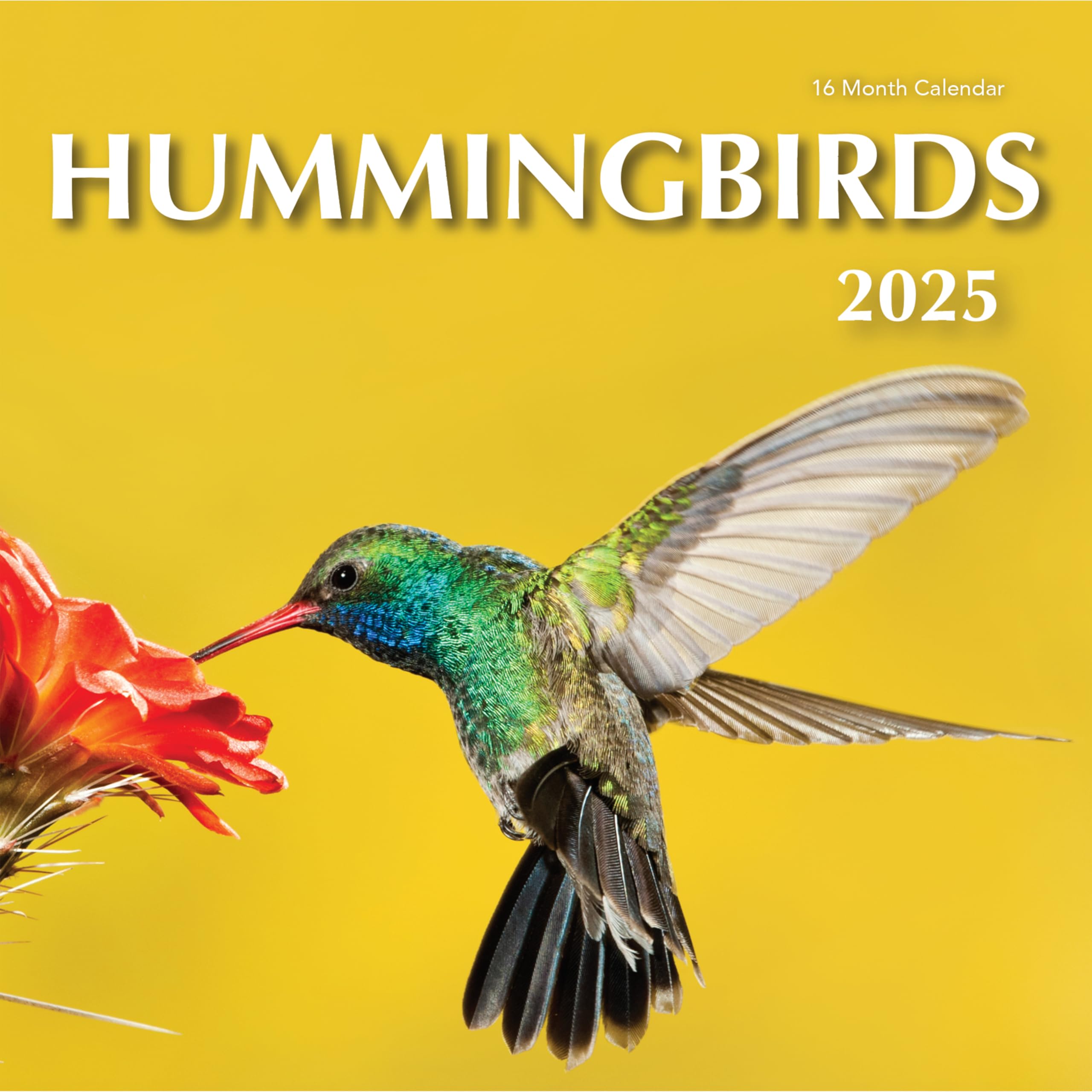 2025 Hummingbirds Hangable Wall Calendar Monthly Wildlife Bird Photo ...