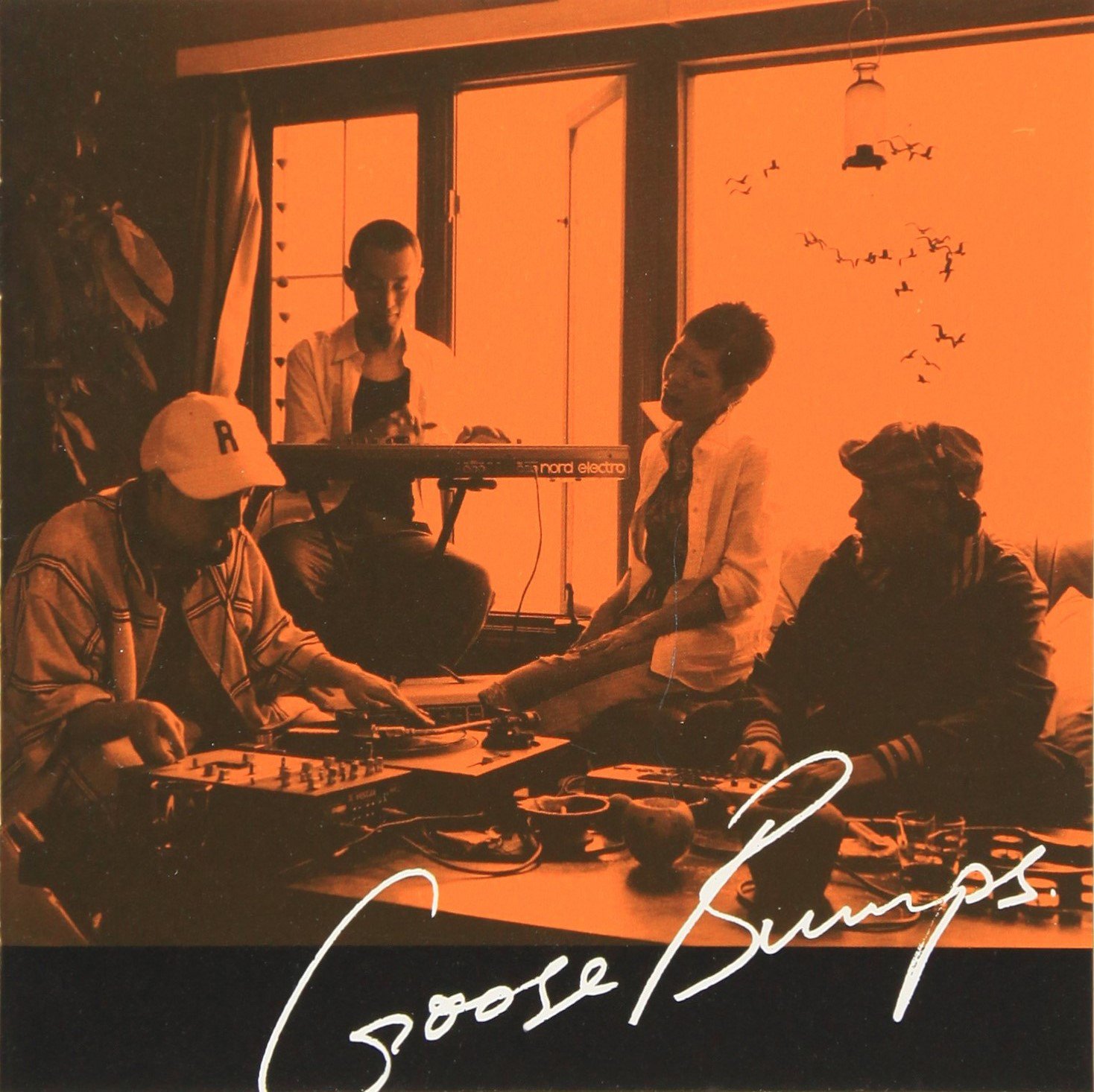 Goose Bumps Vol 2 Goose Bumps Amazon Music goose-bumps-vol-2-goose-bumps-amazon-music