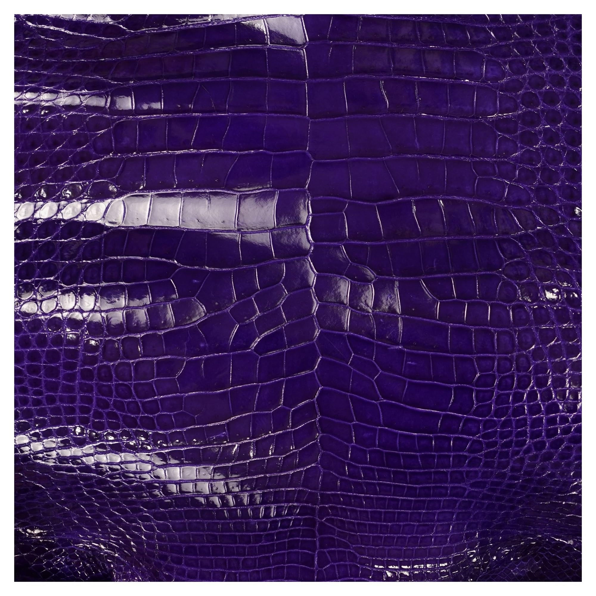 Purple Alligator Skin