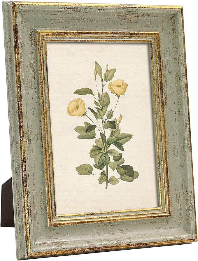 Amazon.com - Sapowerntus Vintage 5x7 Picture Frame Gold Line Sage Green ...