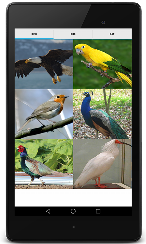 Animal Sounds (Bird,Dog,Cat) - App on Amazon Appstore