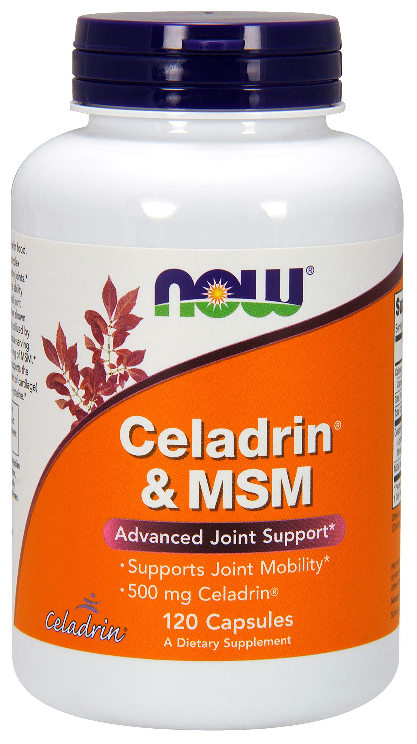 Amazon.com: Celadrin® and MSM 500mg 120 Capsules (Pack of 2) : Health ...