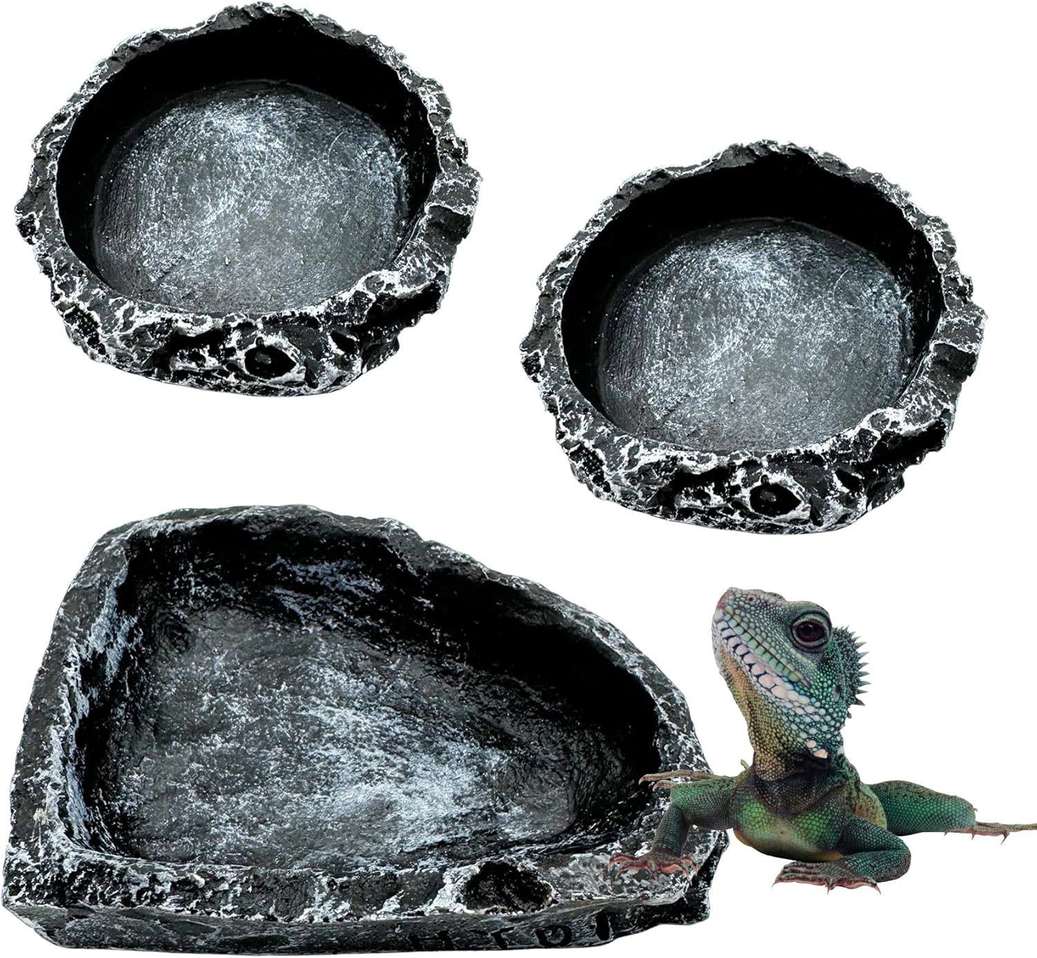 Amazon.com : Reptile Water Dish Food Bowl, 3 Pack Reptile Feeding ...
