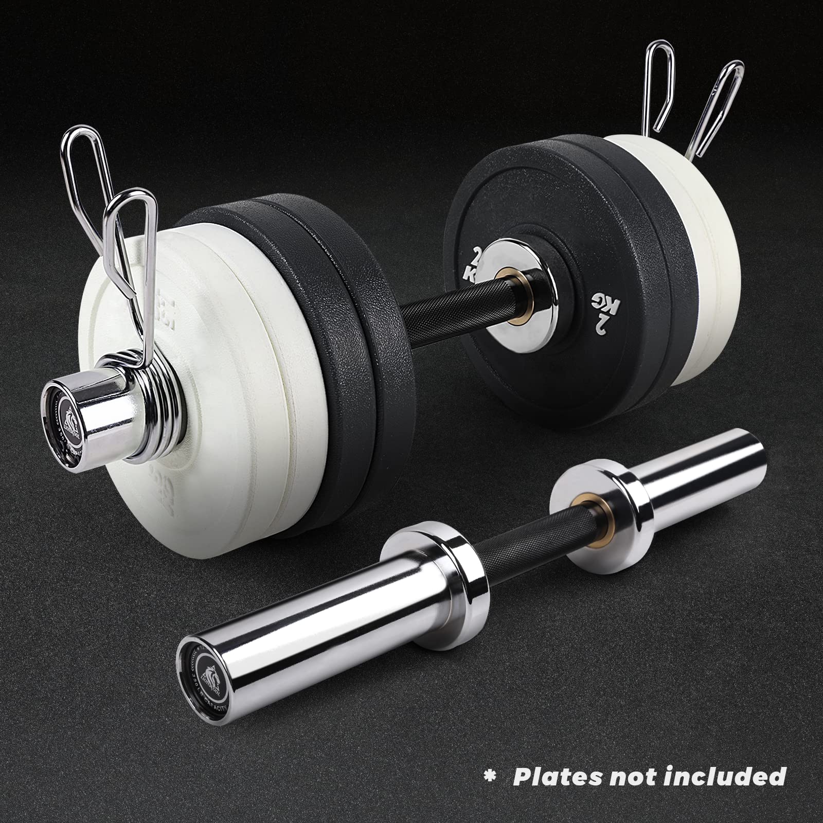 LIONSCOOL 20’’Loadable Dumbbells Pairs in Commercial Grade, Heavy Duty ...