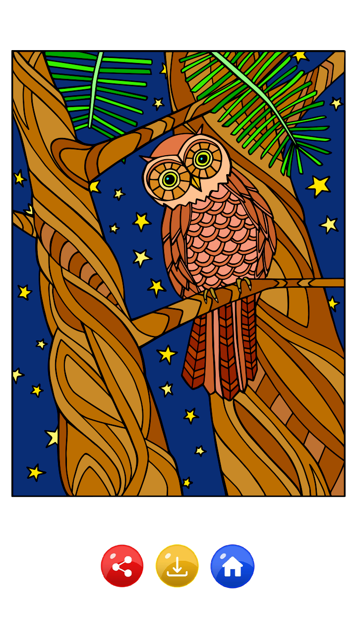 Owl Coloring: Birds Color By Number Book - App on Amazon Appstore