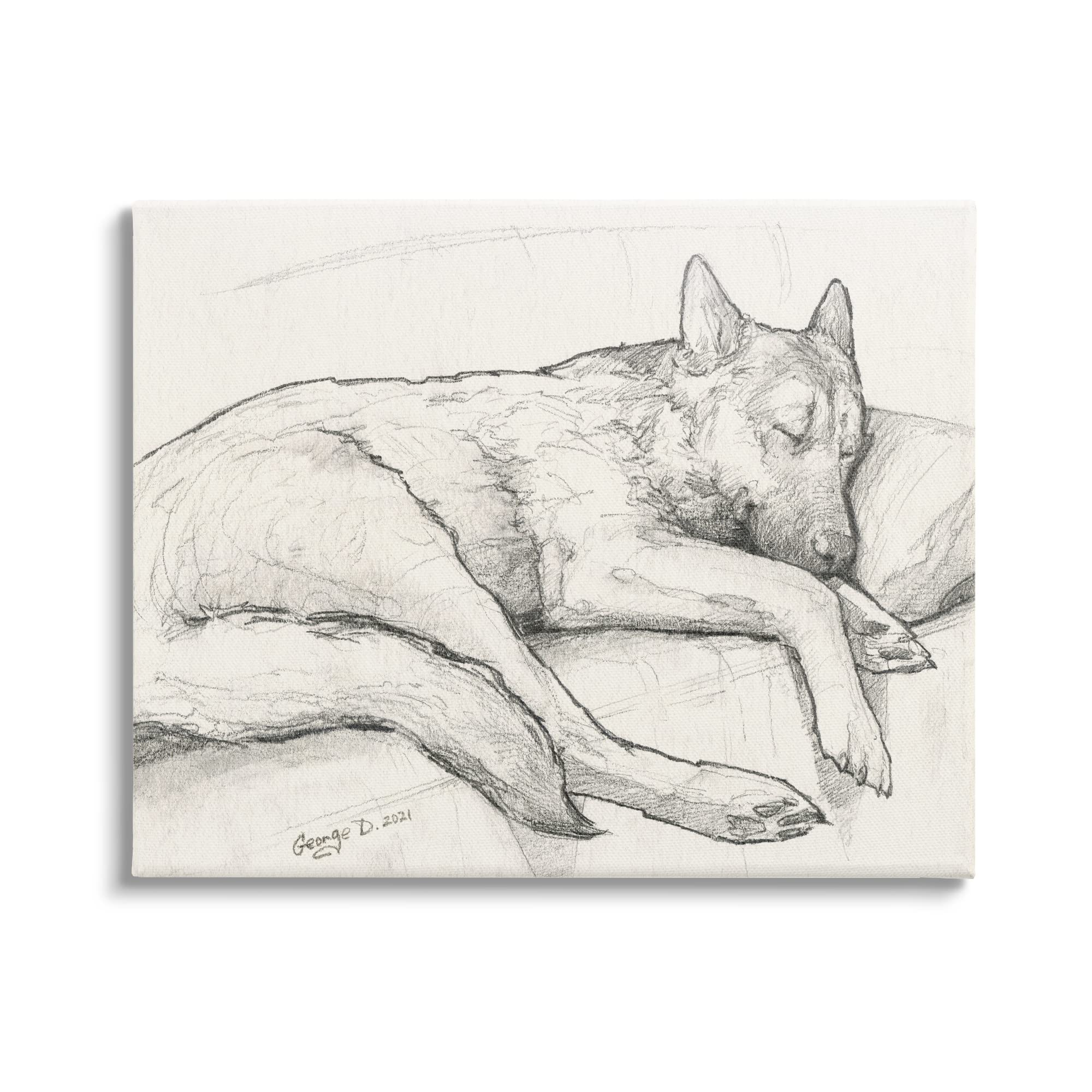 Graphite Pencil Drawings Gallery