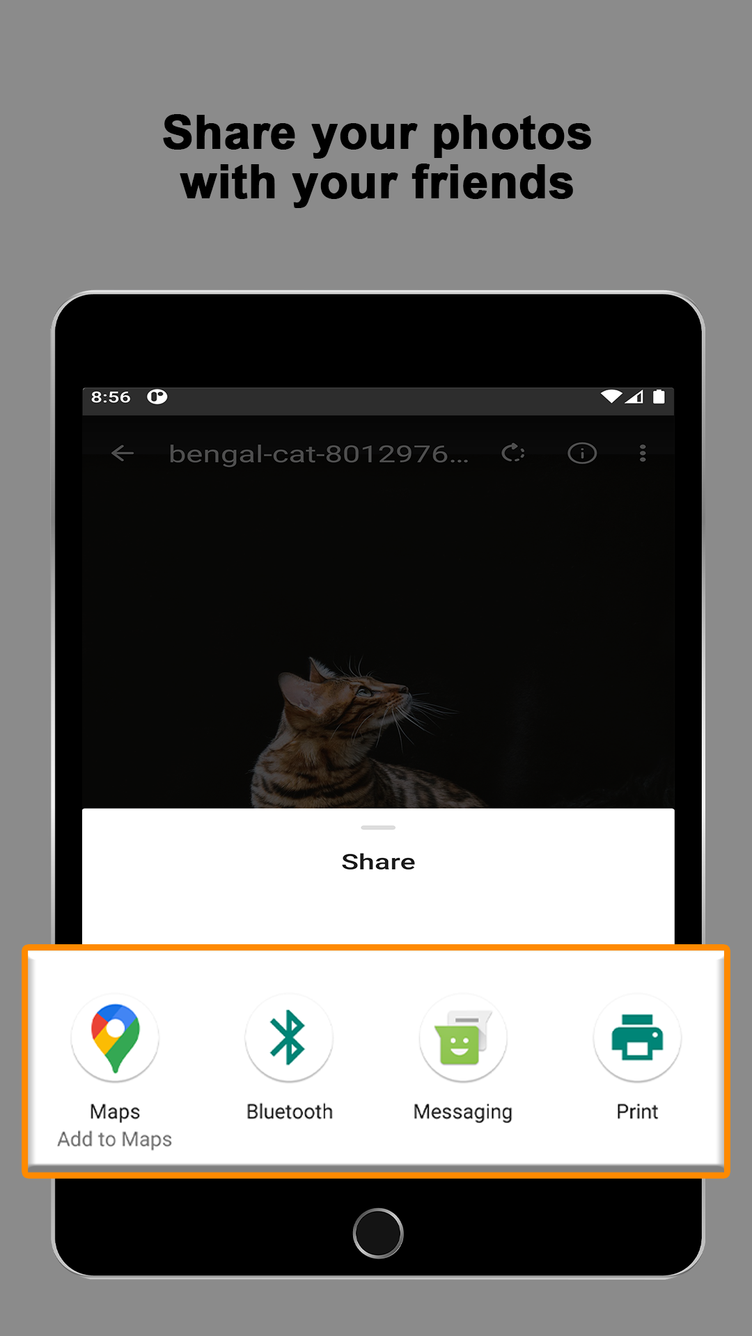 Simple Gallery Pro:Amazon.co.jp:Appstore for Android
