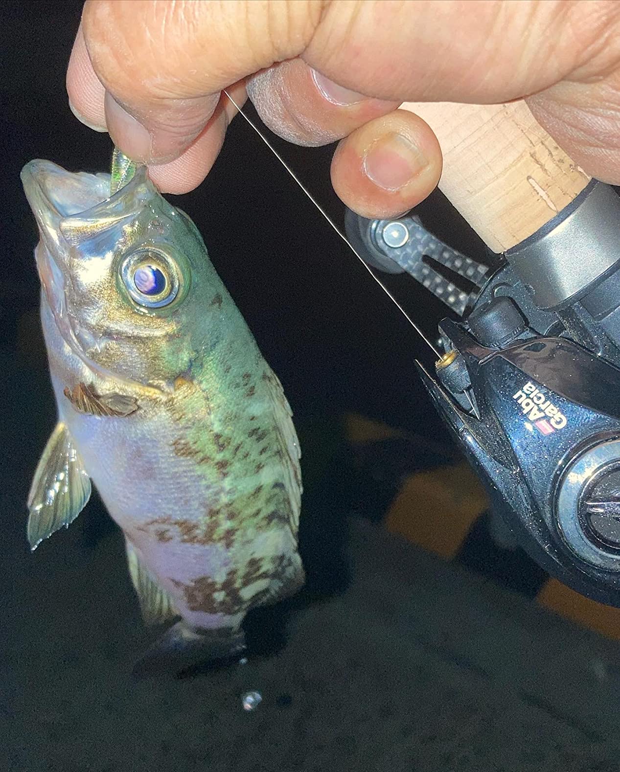 Amazon | TM ツリモン TURINGMONKEY グレート鱒レンジャー改 CT50 DarkNight II Mブラック | ツリング モンキー(turingmonkey ...