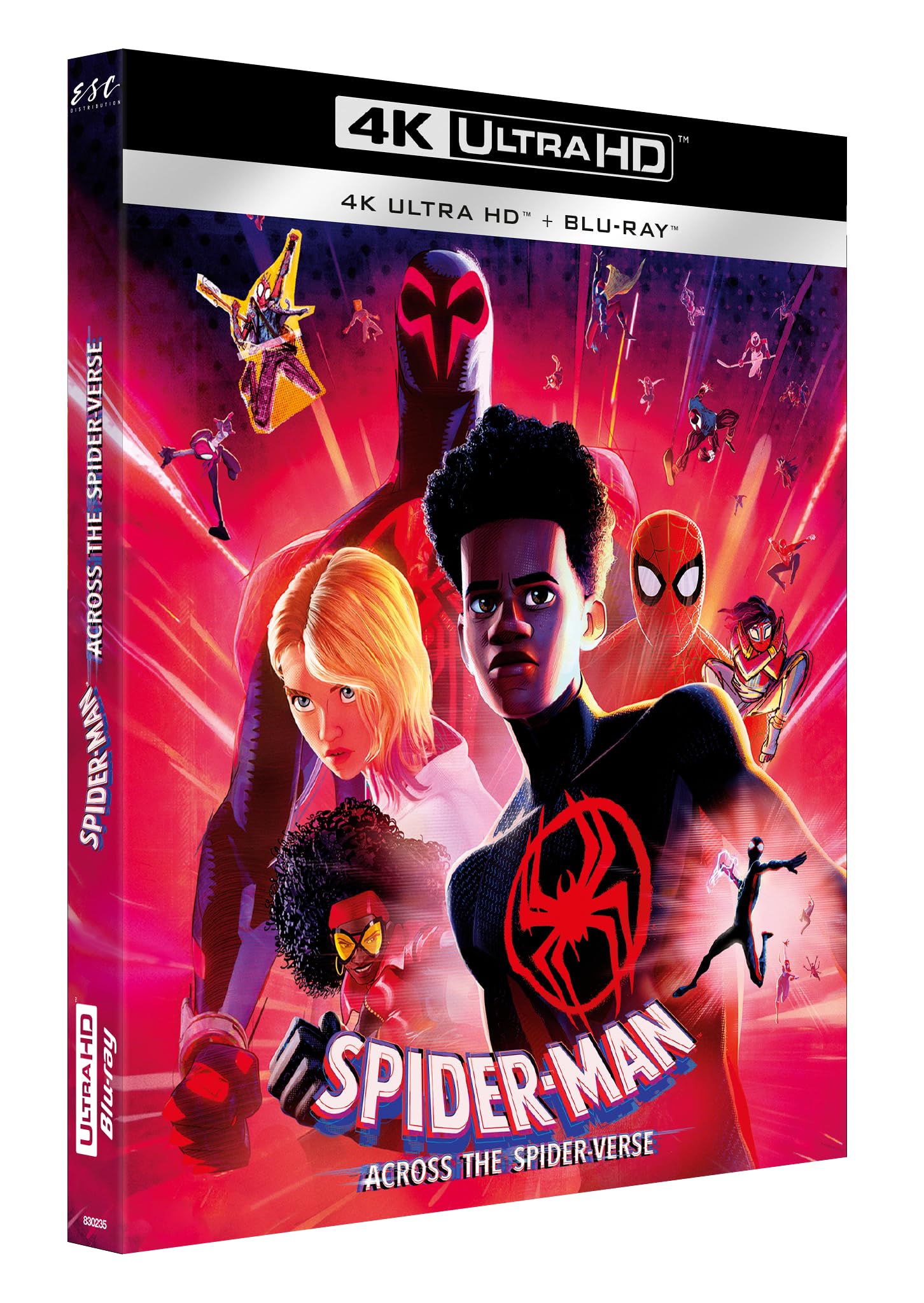 Spider-man : across the spider-verse 4k ultra hd [Blu-ray] [FR Import]: Amazon.de: Moore ...