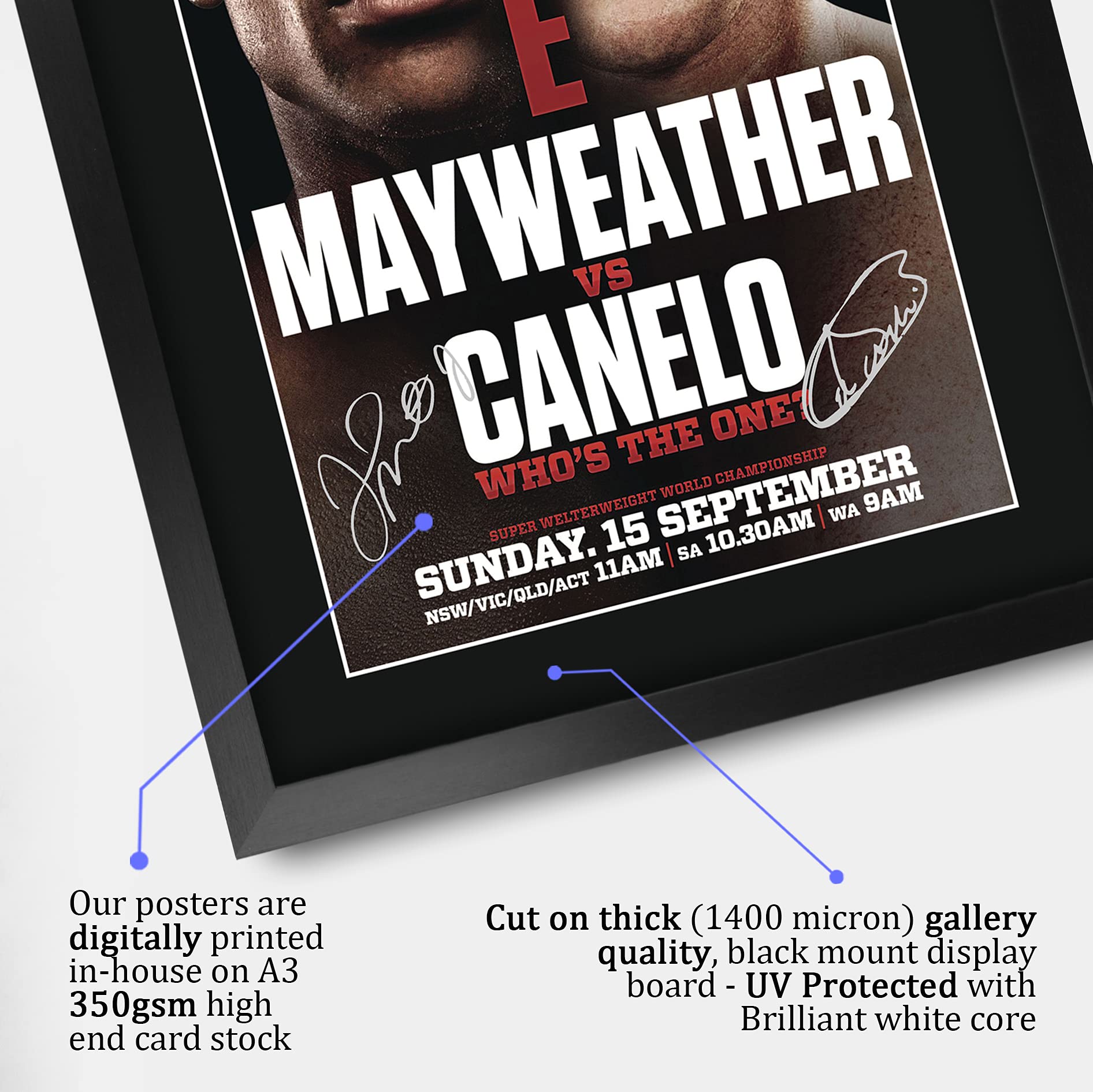 Canelo Alvarez Vs Floyd Mayweather Poster