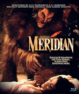 Meridian Insurance: What Type Of Coverage Do They Offer? | ShunIns