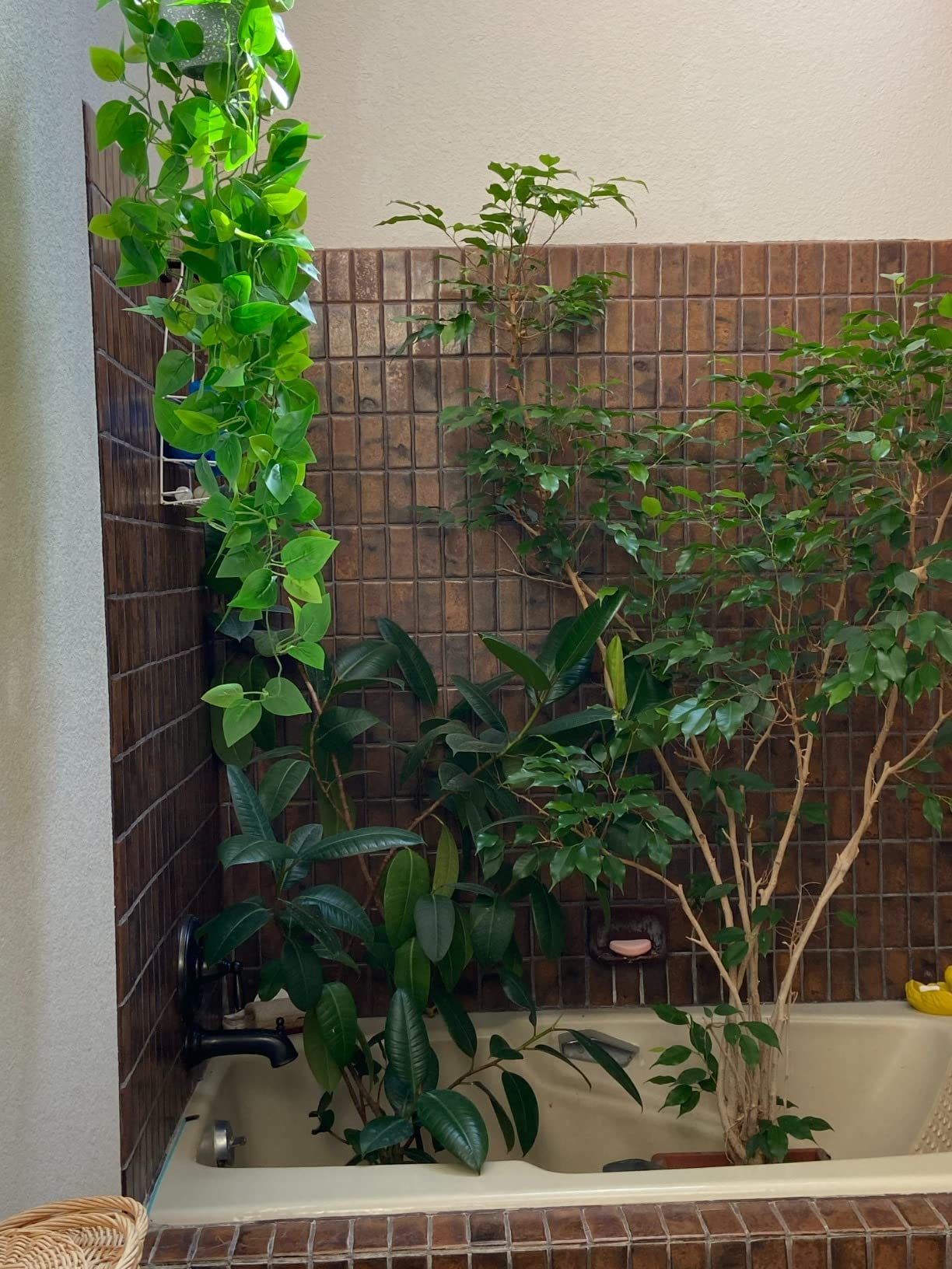 $6/mo - Finance ZIFTY 2-Pcs 2.5FT Fake Hanging Plants with Pot ...