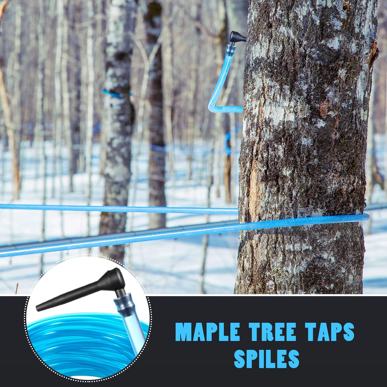 Buy Maple Syrup Taps Vacuum Tubing Lines Maple Syrup Tree Tapping ...