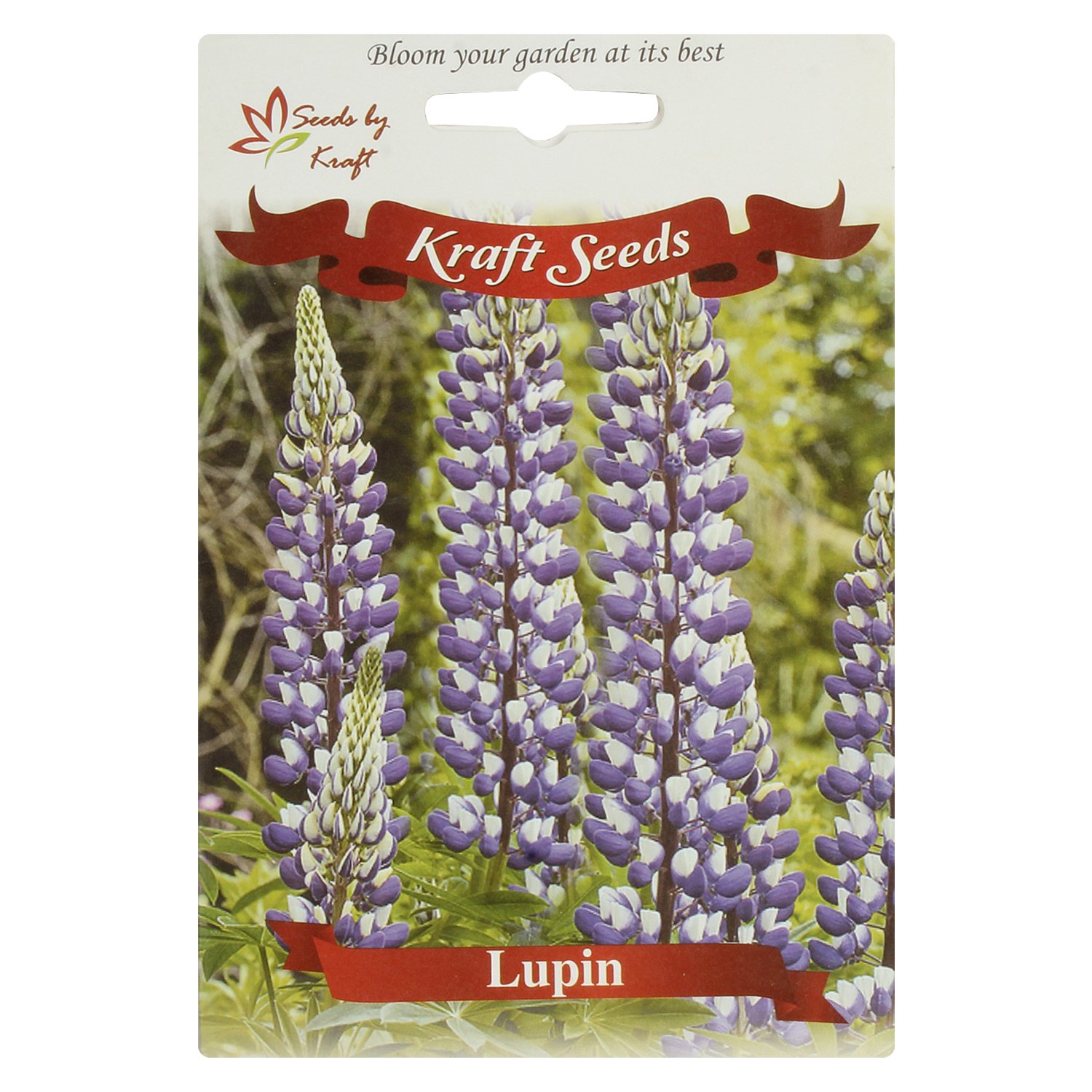 Lupin Russell Band of Nobles Flower Seeds by Kraft Seeds : Amazon.in ...