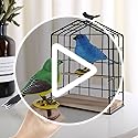 Amazon.com: Doefo Electric Singing and Chirping Bird Toy, Interactive ...