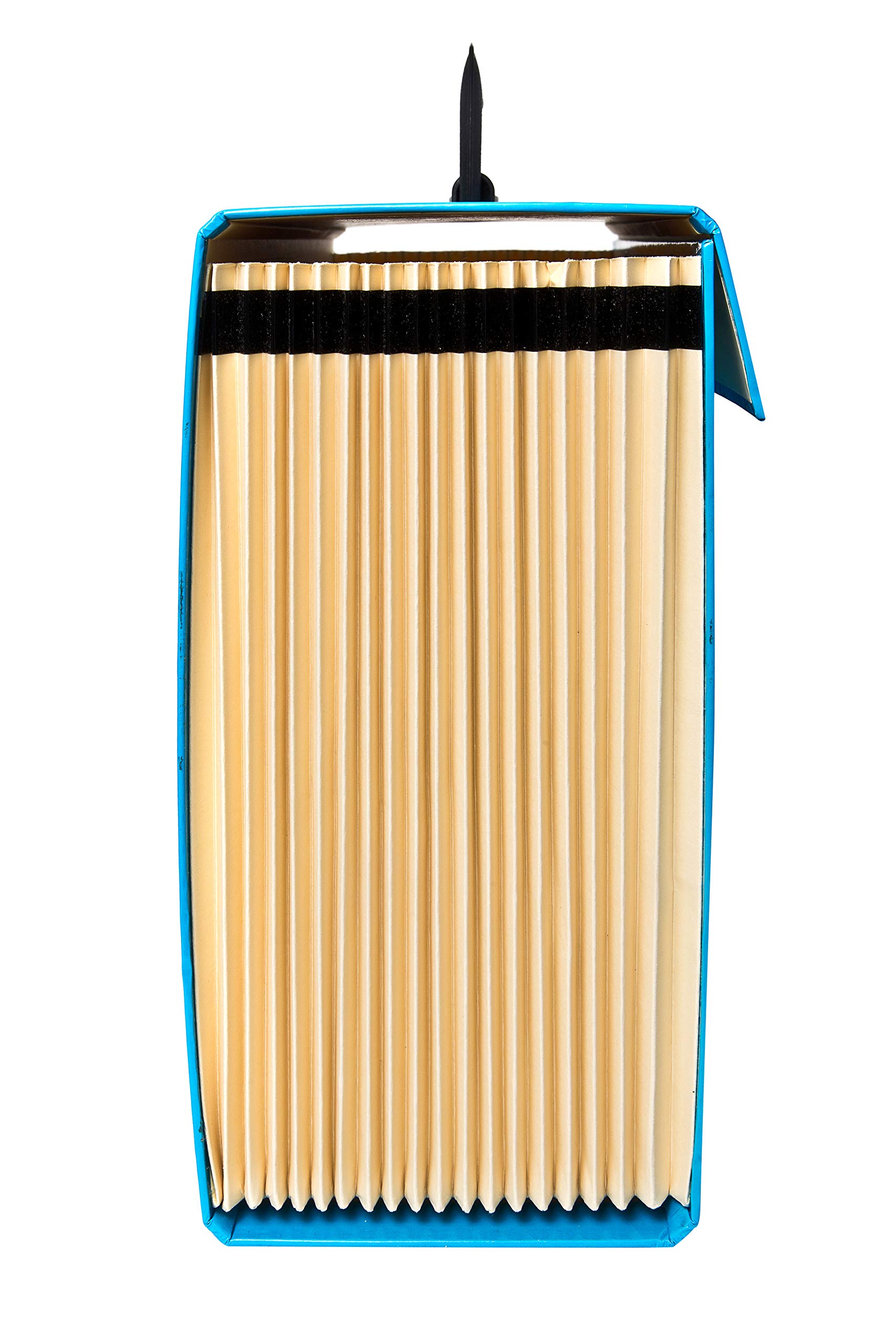 DESKit Locking File Folder Organizer | Expandable, Portable, Letter ...