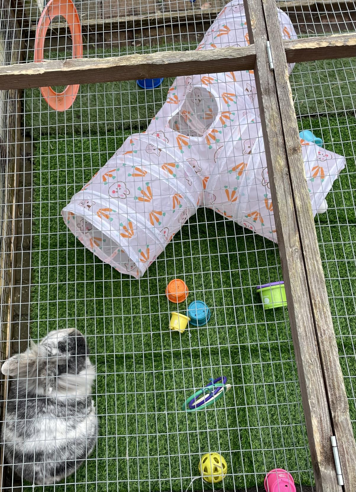 Rabbit Tunnel Rabbit Toys Rabbit Tunnels and Hideout Collapsible 3 Way ...