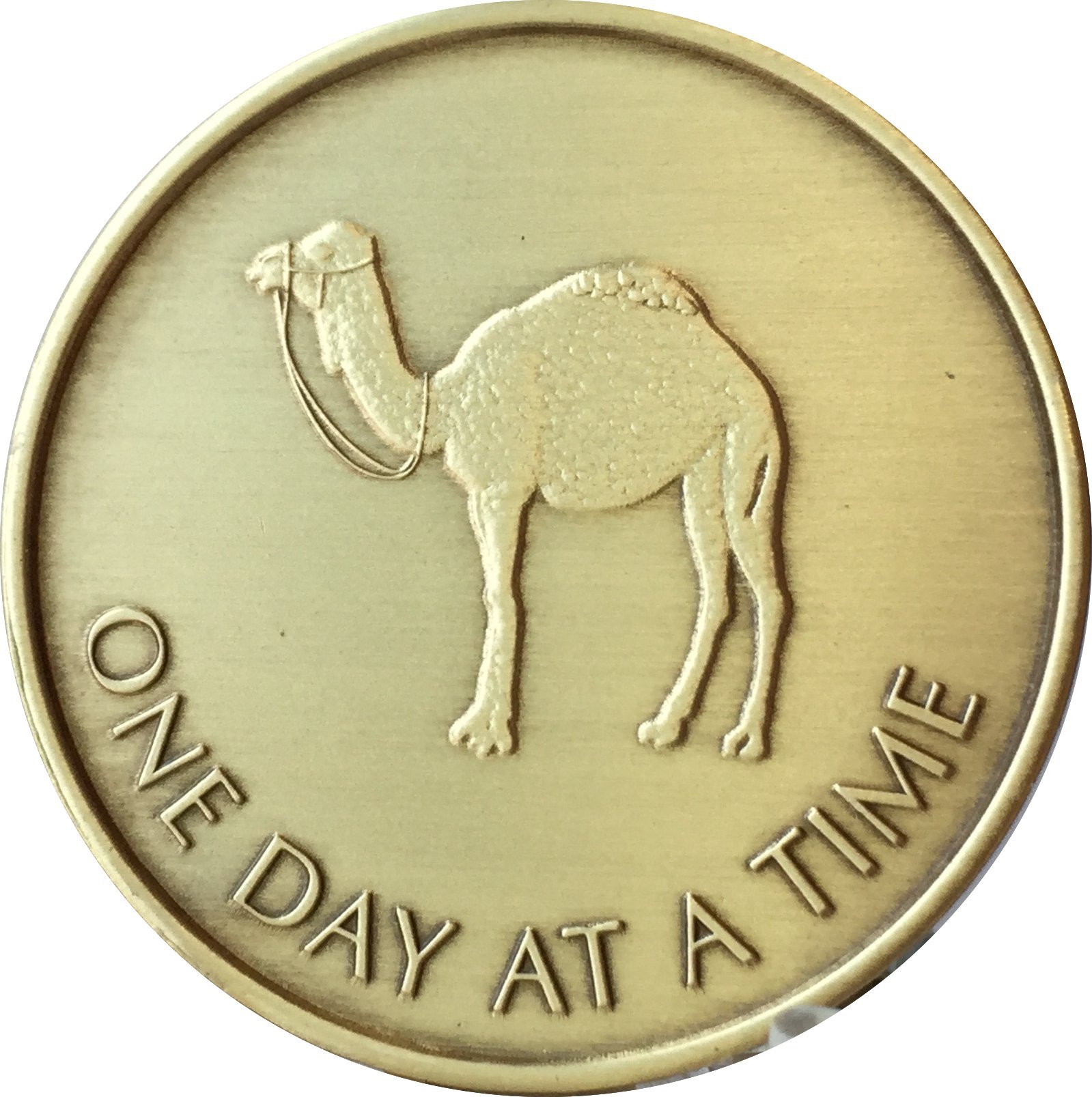 Amazon.com: Camel One Day at A Time (24 Hr) - Bronze AA (Alcoholics ...