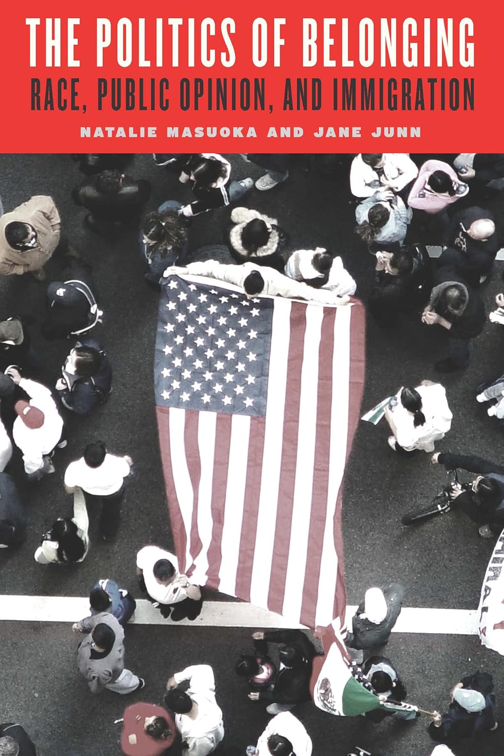 The Politics of Belonging: Race, Public Opinion, and Immigration ...