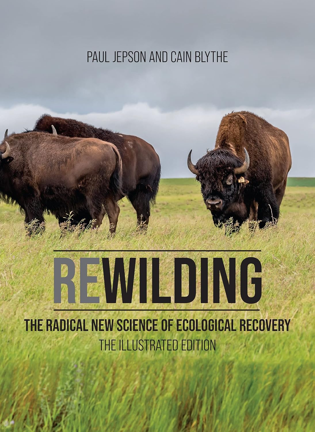 Rewilding: The Radical New Science of... by Jepson, Paul