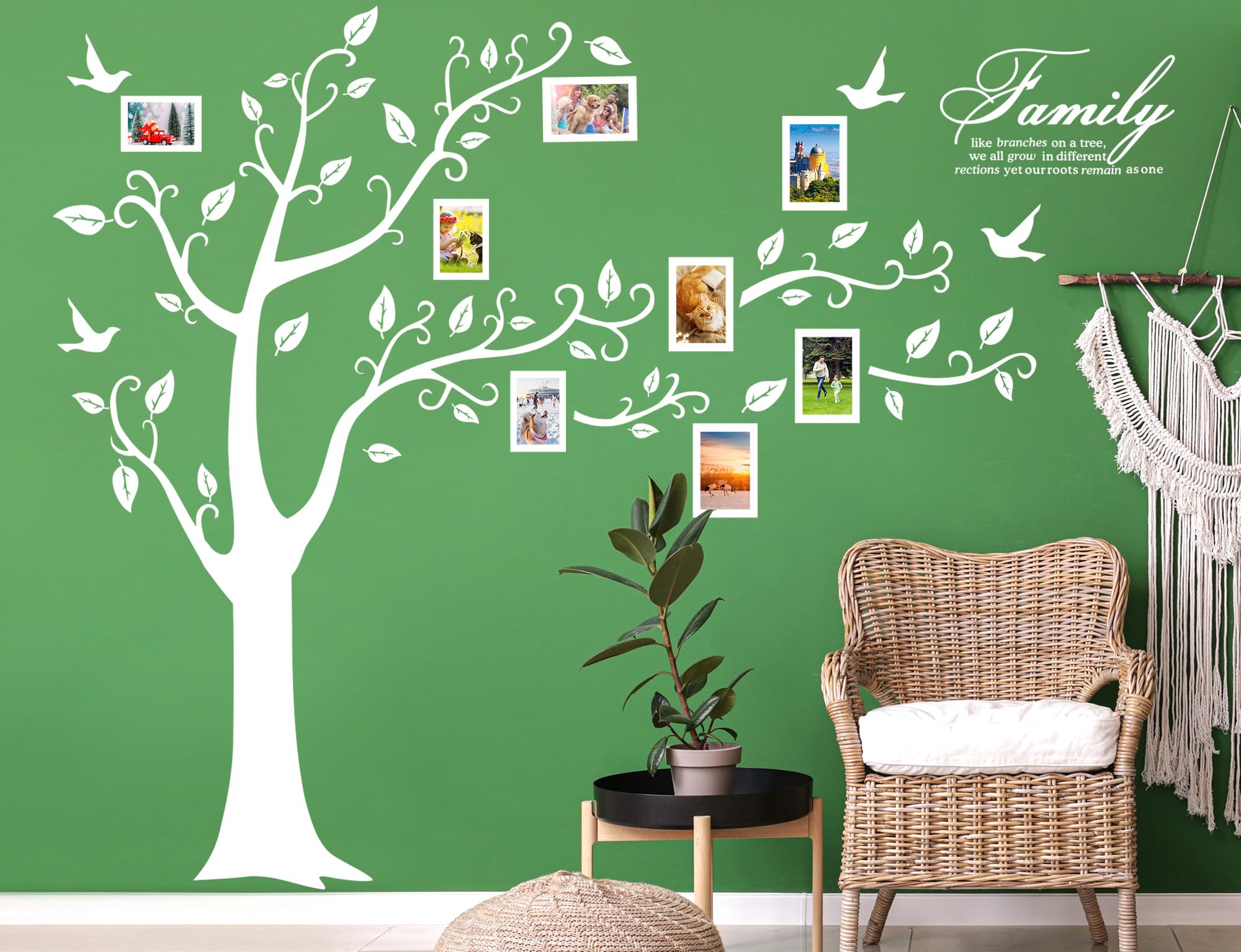 Amazon.com: Large Family Photo Tree Wall Sticker 3D Peel and Stick ...