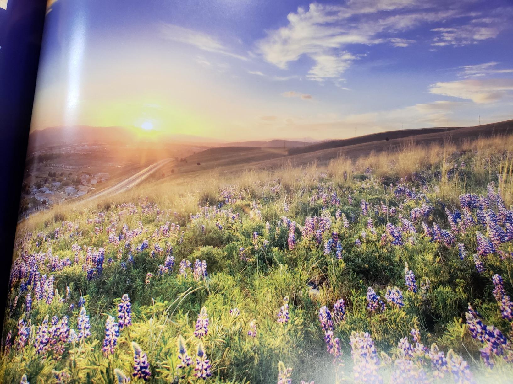 Amazon.com: Montana Moments: 9781560377030: Chuck Haney: Books
