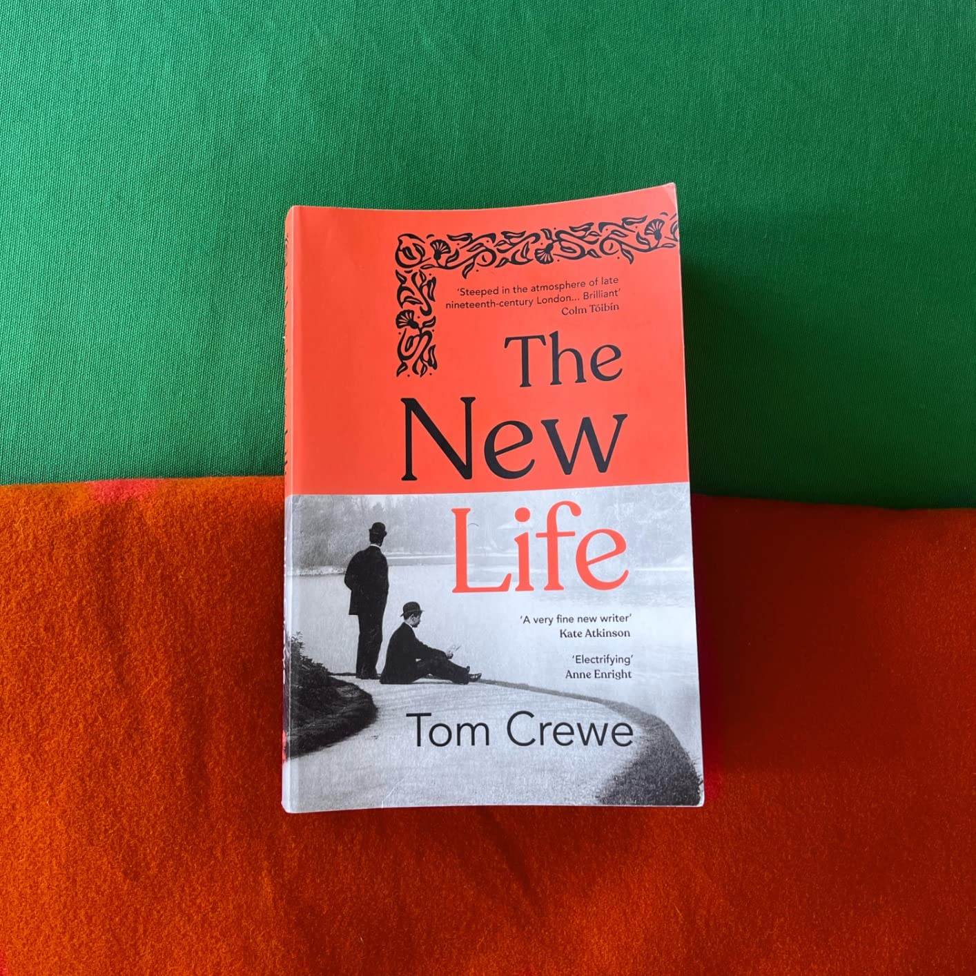 The New Life: A daring novel of forbidden desire : Crewe, Tom: Amazon ...