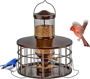 Amazon.com : Upgraded Squirrel Proof Bird Feeders, 3Lbs Capacity Caged ...