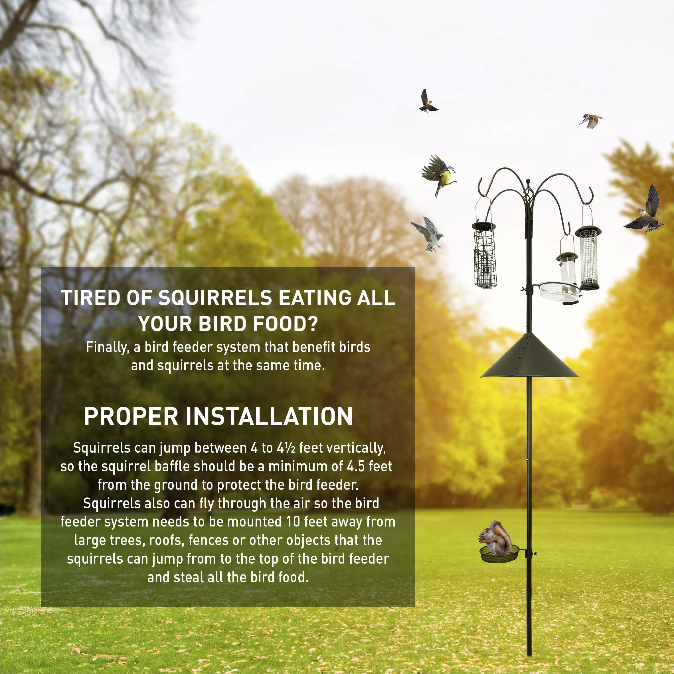 Snapklik.com : Squirrel Proof Bird FeederWild Bird Station - Powder ...