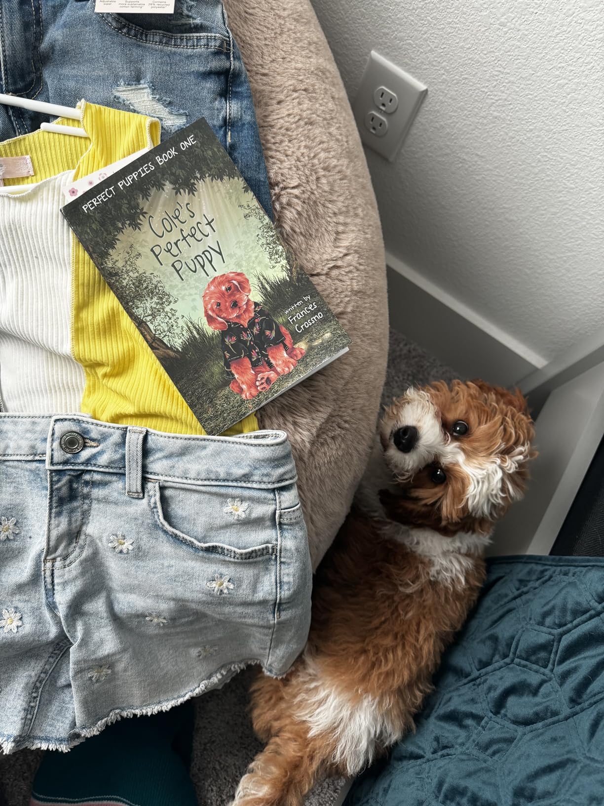 Cole's Perfect Puppy: Perfect Puppies Book One - Kindle edition by ...