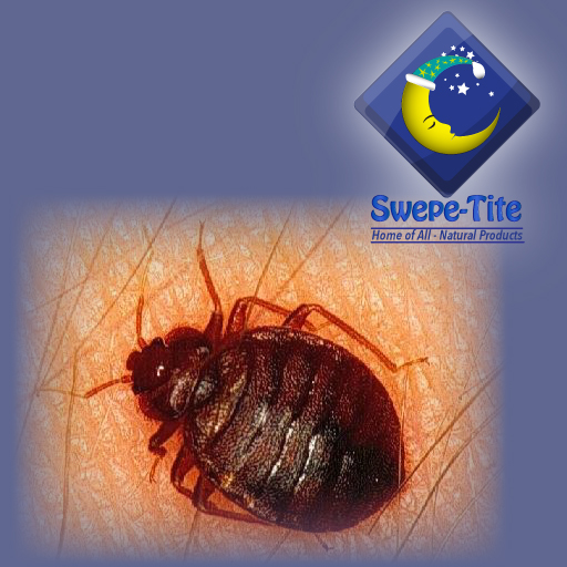 Kill Bed Bugs - App on Amazon Appstore
