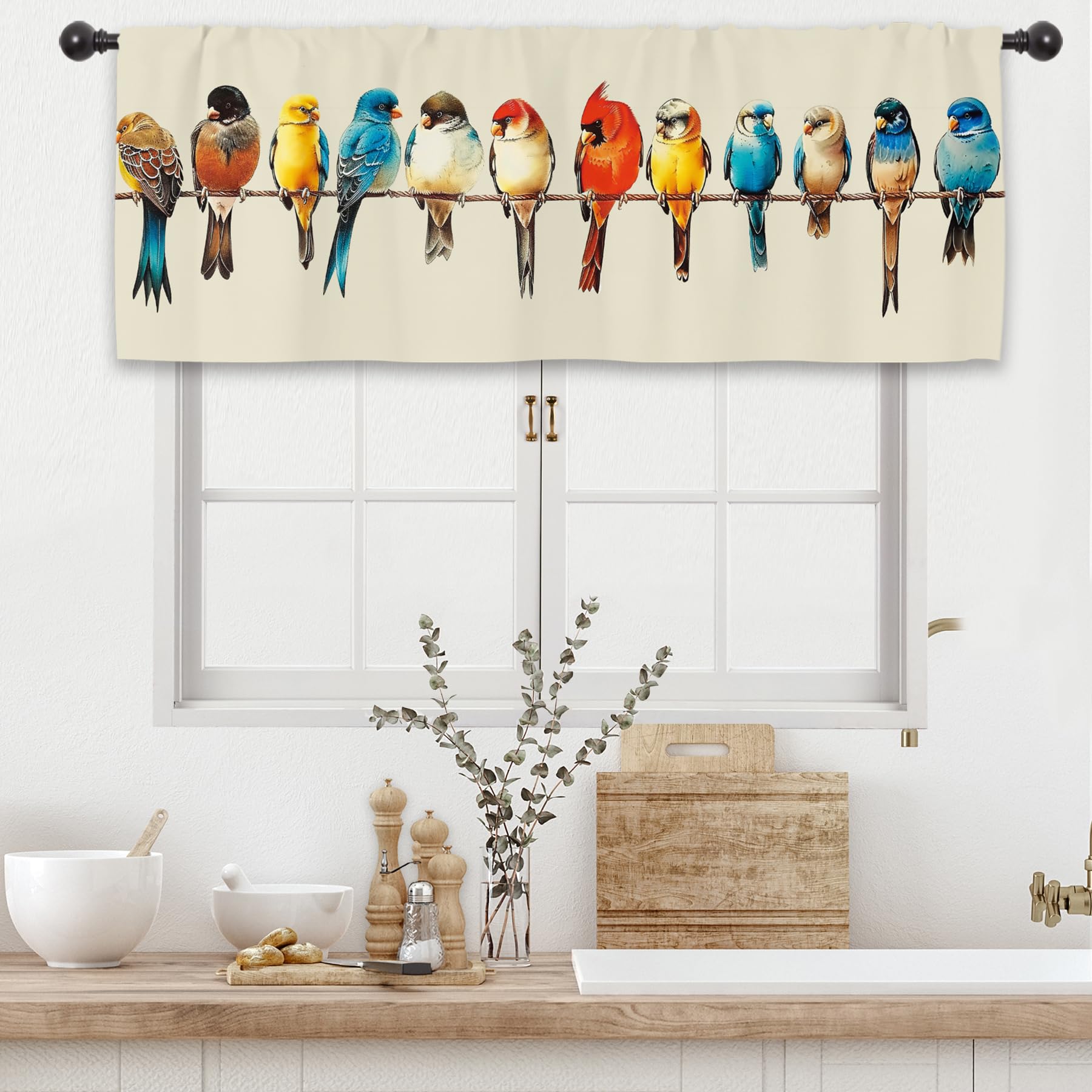Amazon.com: Kalmico Bird Colorful Kitchen Curtain Valance 54W x 18L ...
