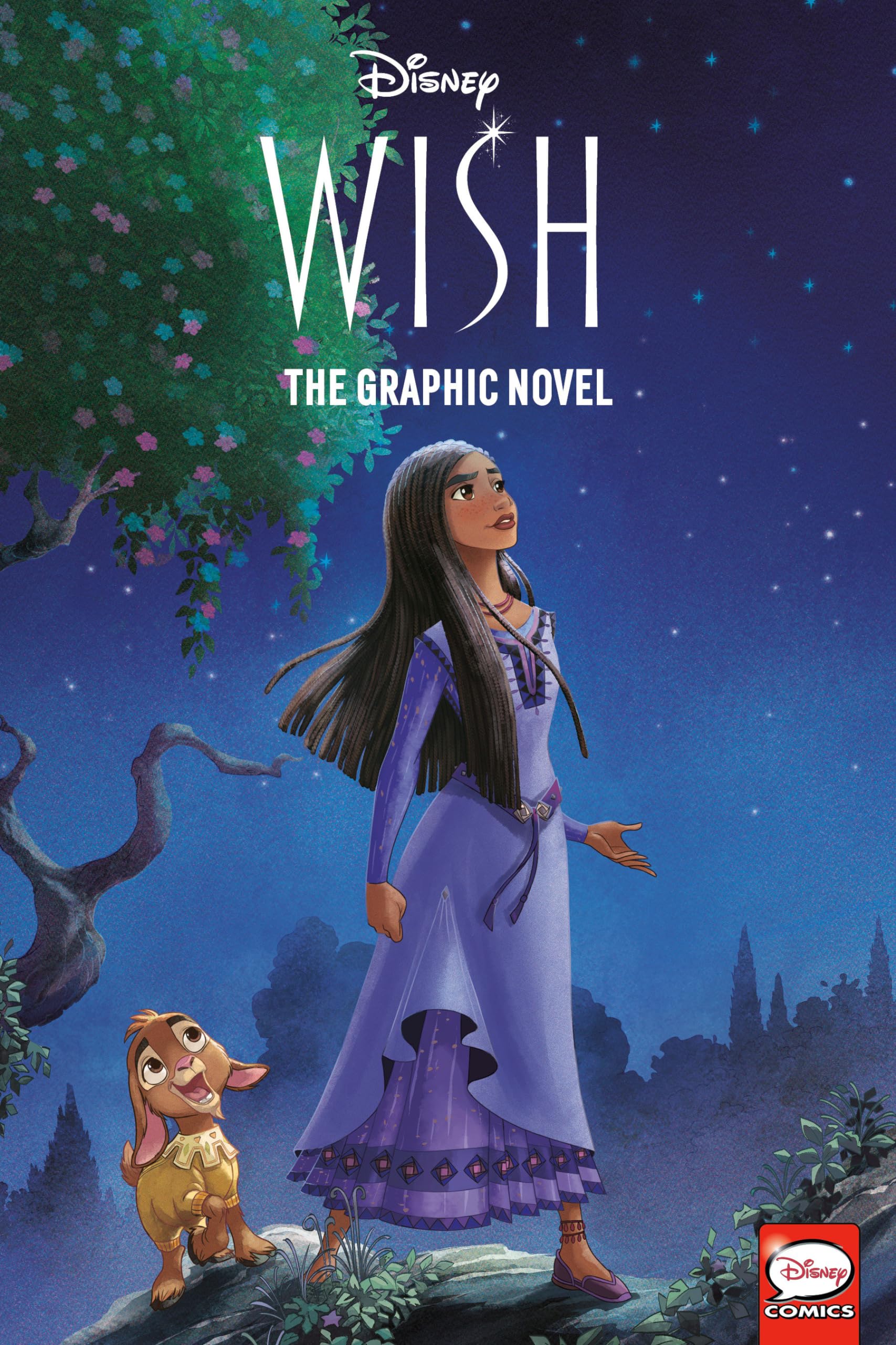Disney Wish: The Graphic Novel: RH Disney: 9780736444354: Amazon.com: Books
