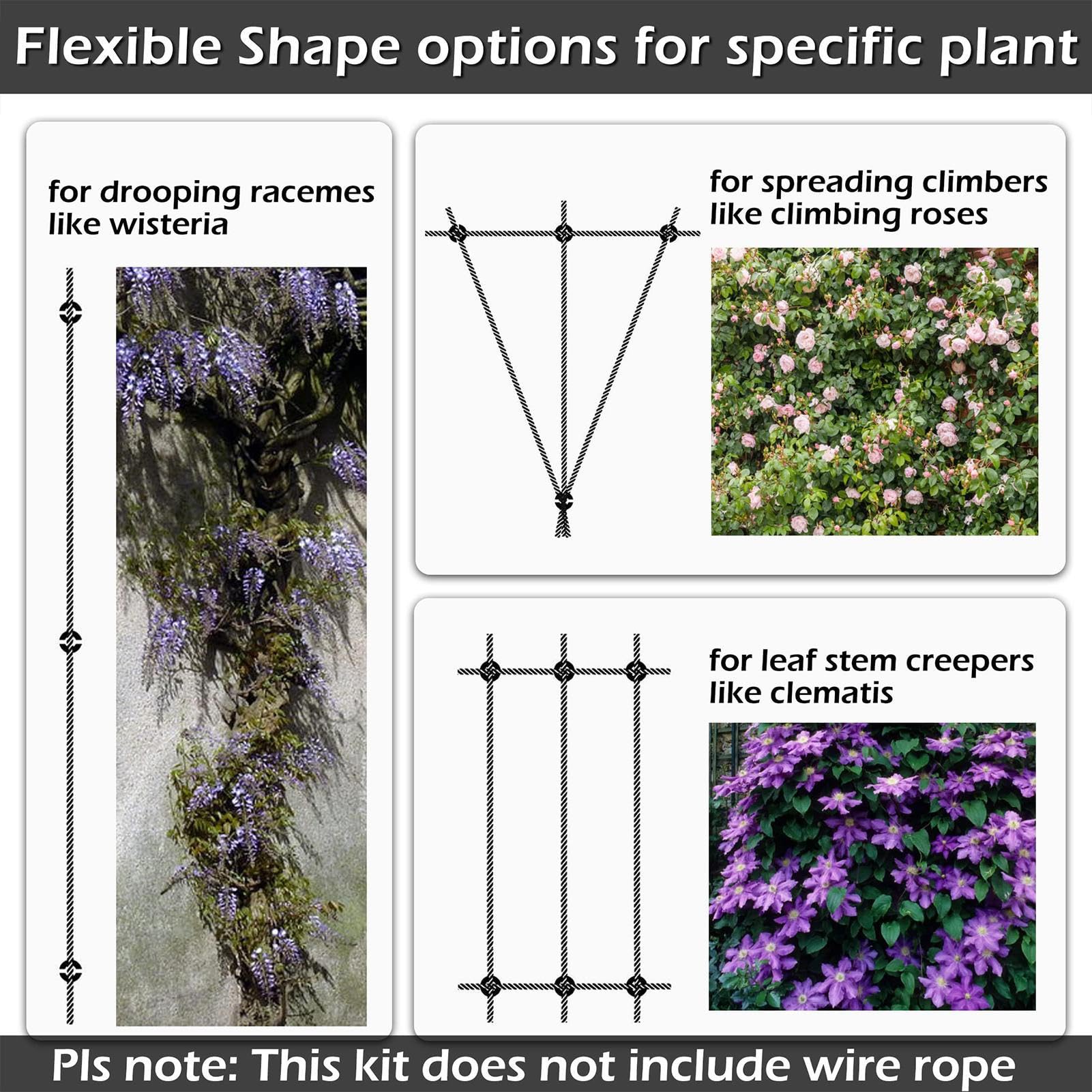 Vertical Trellis System