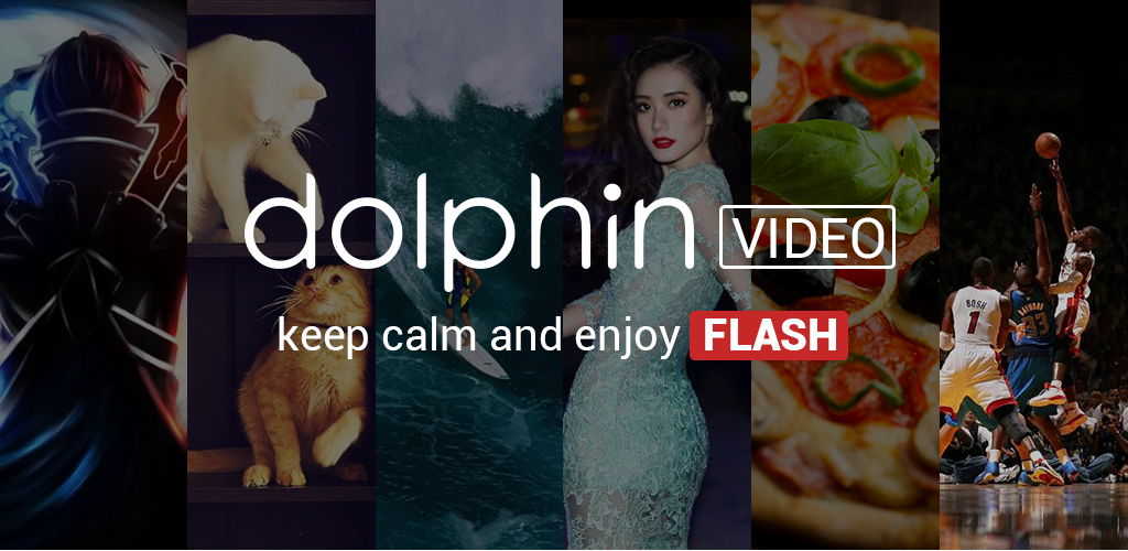 Dolphin Video - Flash Player-Amazonアプリストアのアプリ
