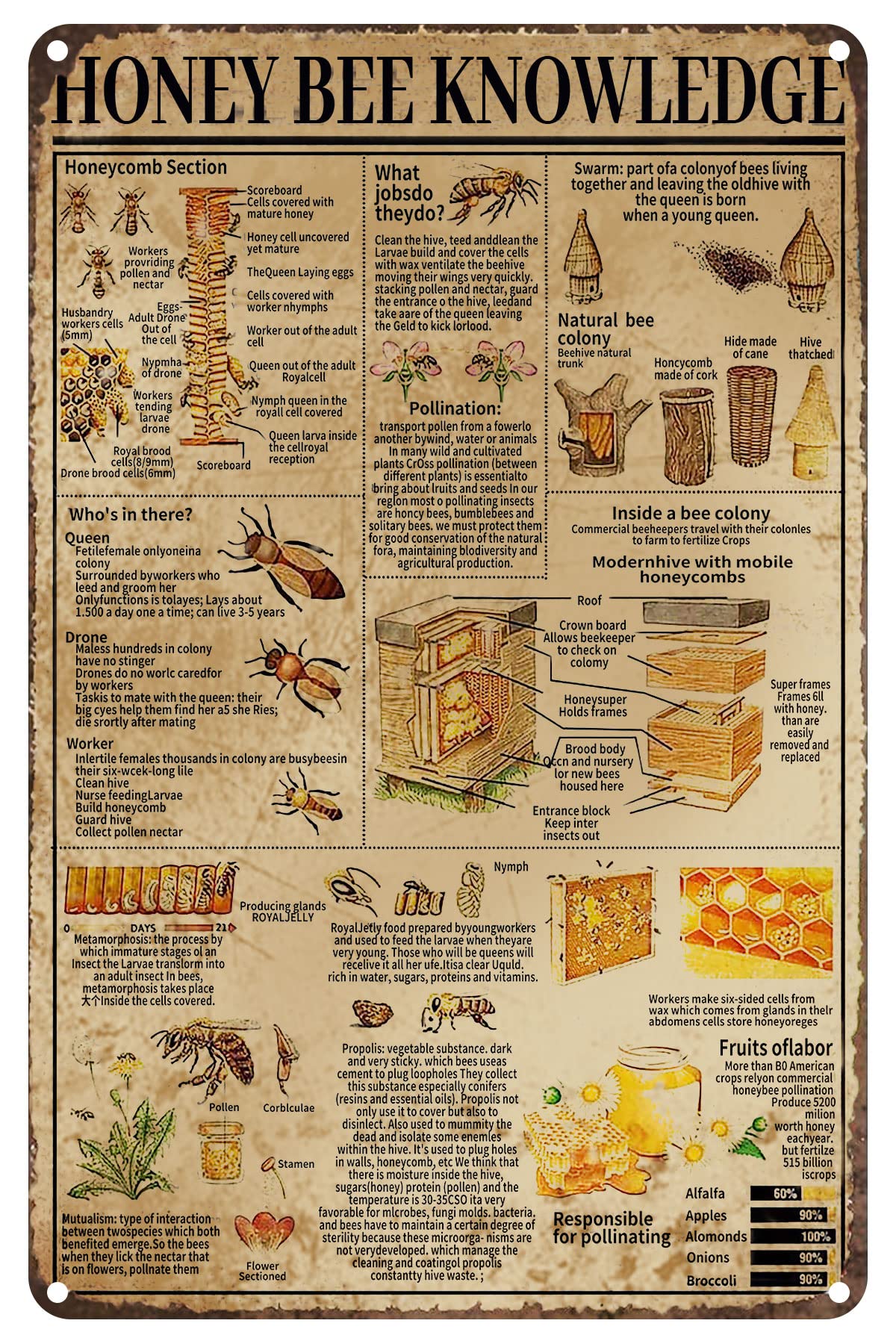 Amazon.com: Honey Bee Knowledge 1000 Pieces Wooden Jigsaw Puzzles for ...