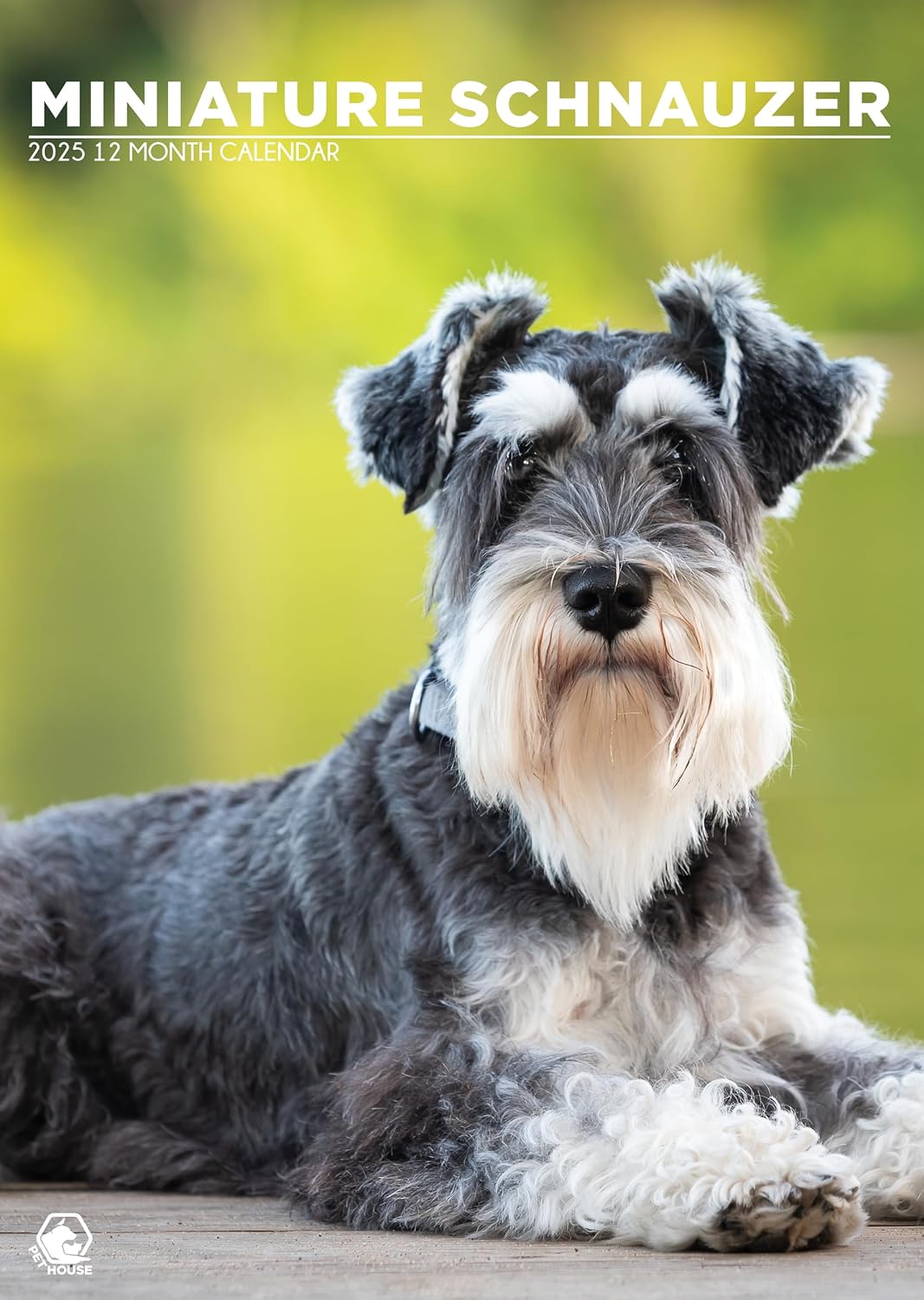 Miniature Schnauzer 2025 - A3 Size Wirobound Calendar : Amazon.co.uk ...