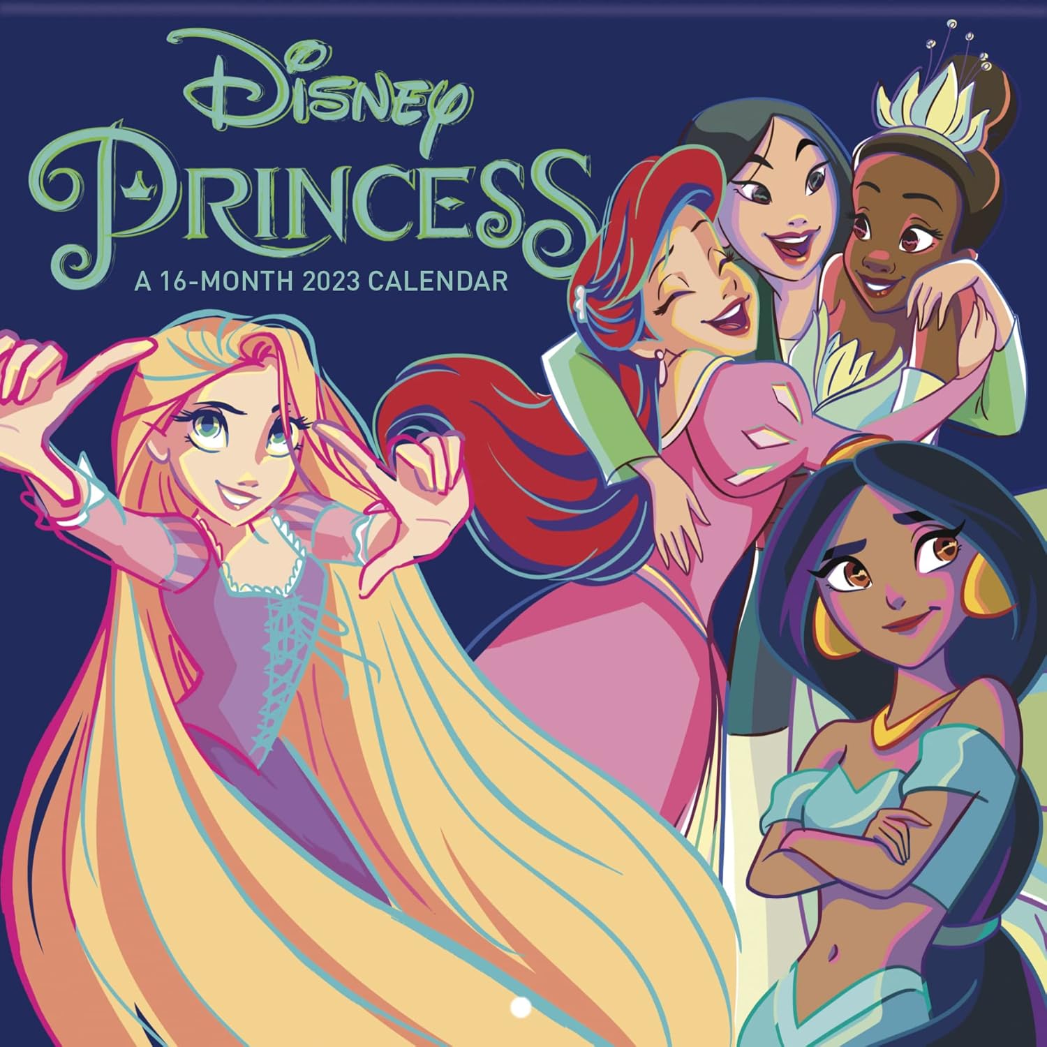 2023 Disney Princess Wall Calendar: Trends International: 9781438889054 ...