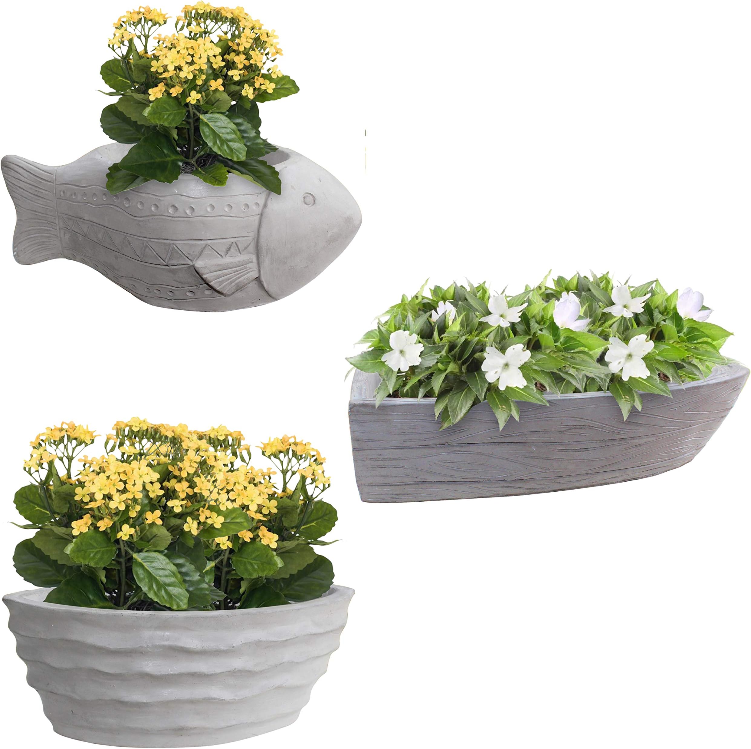 Amazon.com : Classic Home and Garden Indoor Outdoor Cement Coral Fish ...