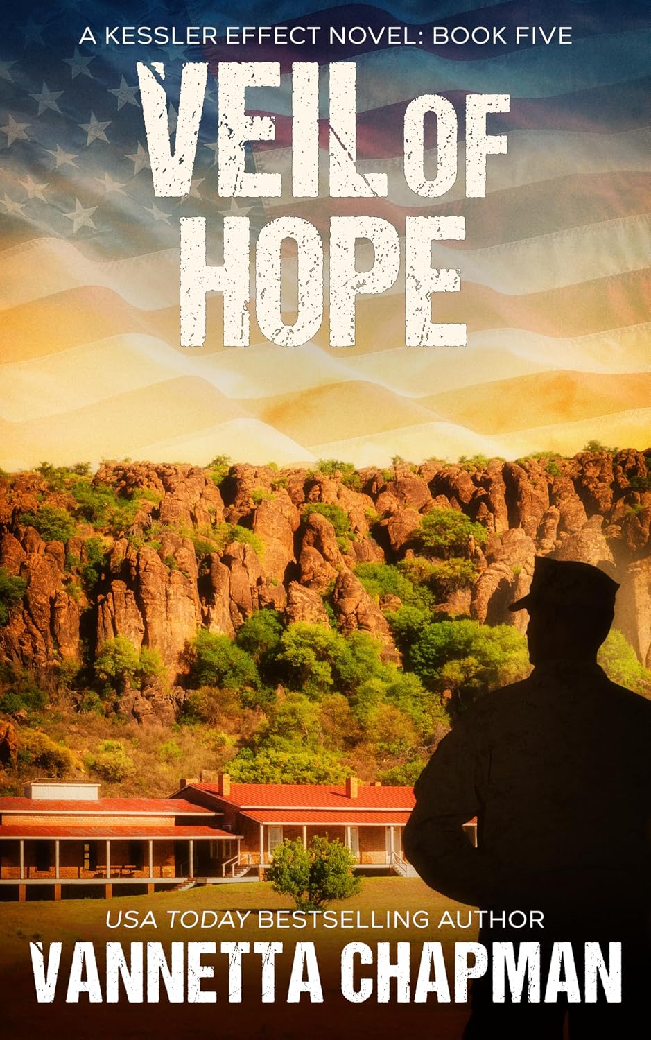 Amazon.com: Veil of Hope: An Adult Dystopian Novel (Kessler Effect Book ...