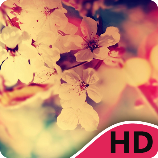Sakura HD Wallpapers - App on Amazon Appstore