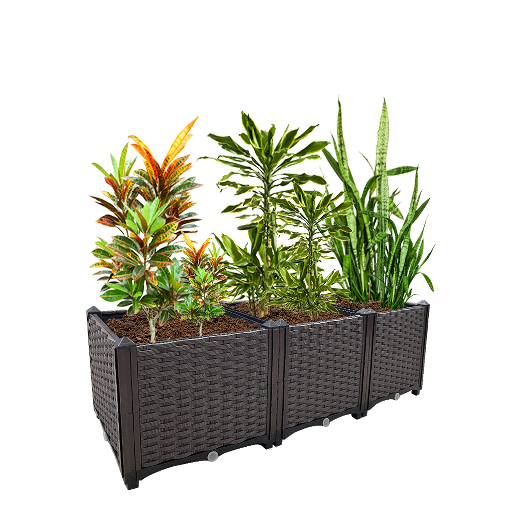 Raised Garden Bed Planters for Outdoor Plants Planter Box Elevated ...