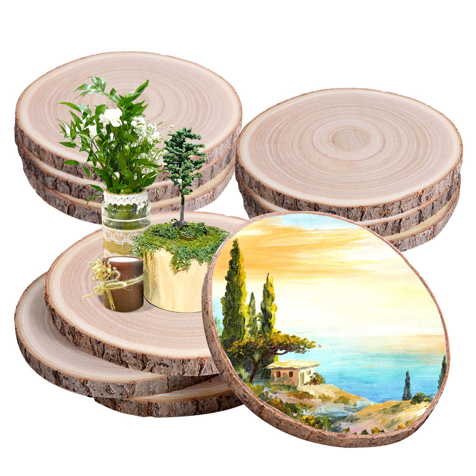 Amazon.com: 10Pcs Wood Slices Unfinished Wood Rounds 7-8 inches Wood ...