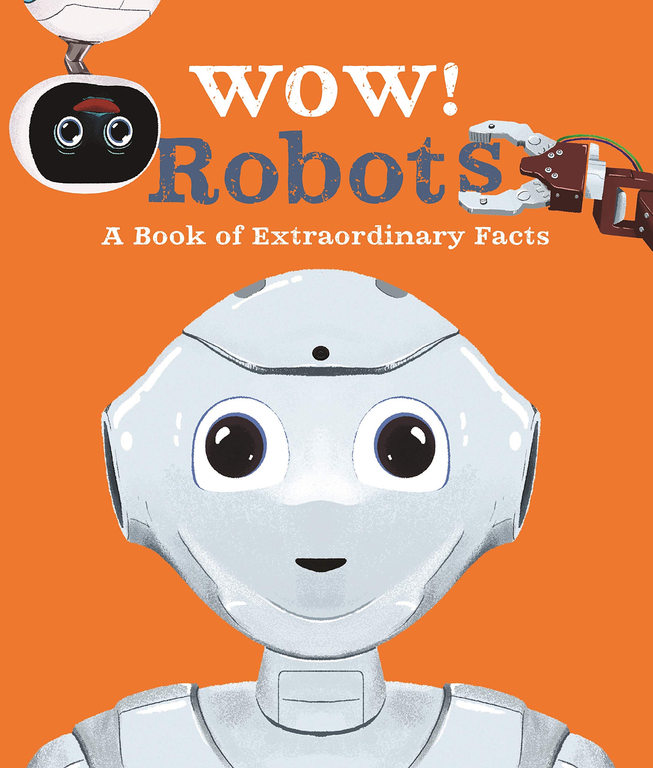 Wow Robots: Mills, Andrea: 9780753445174: Amazon.com: Books
