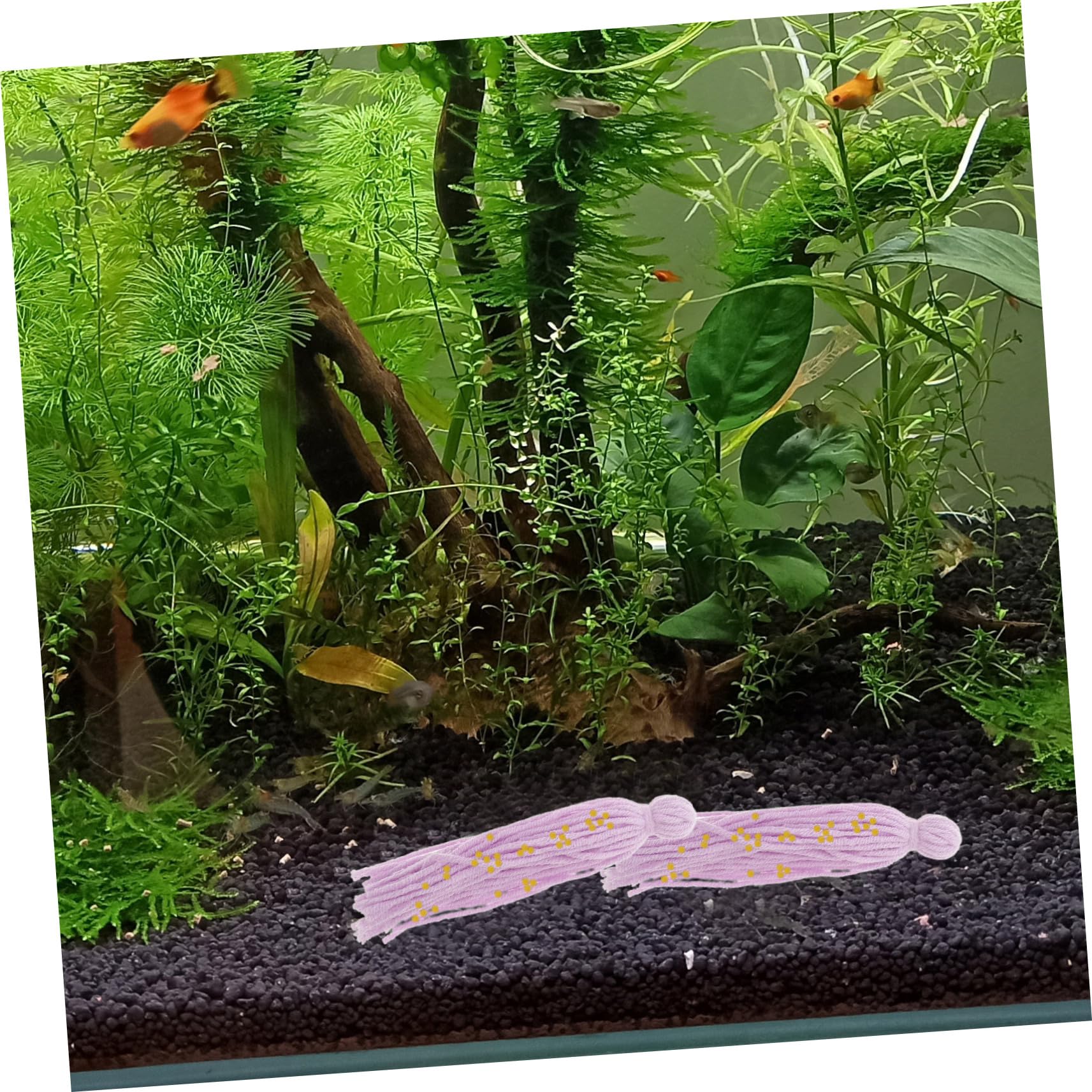 Aquarium Slate Medaka Fish Breeding Mop 4 Pack 3D Printed Breeding ...