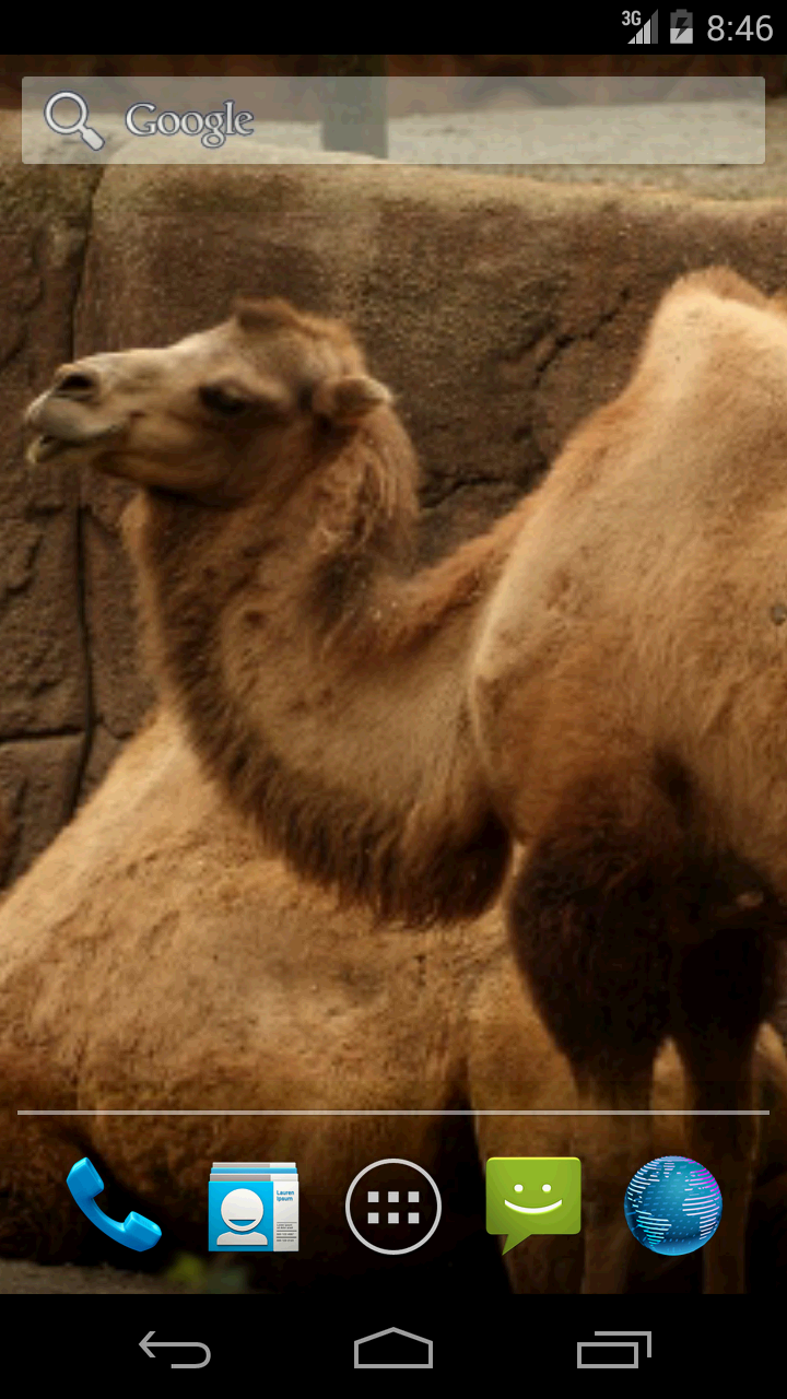 Camel Wallpaper App - App on Amazon Appstore