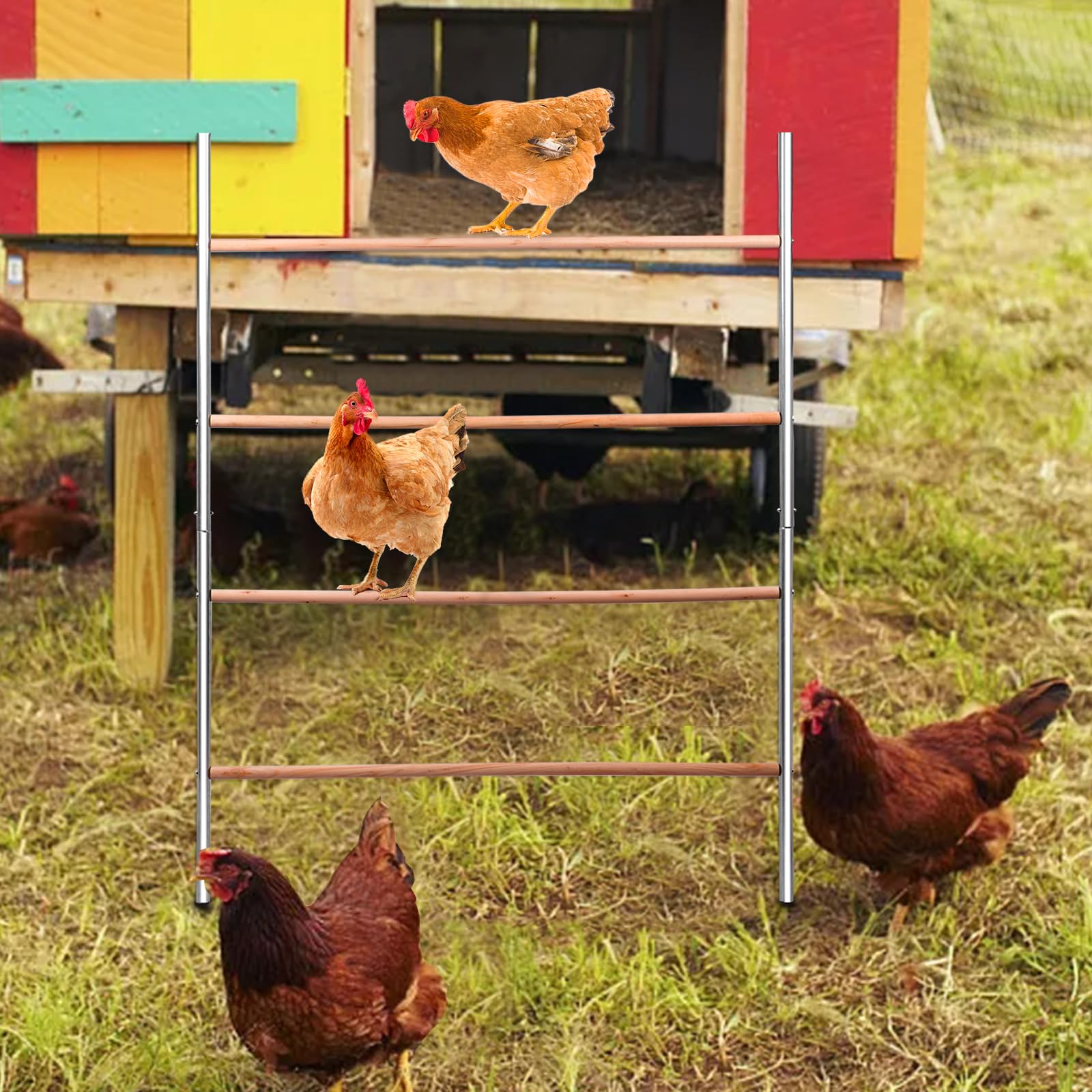 Postes De Percha Para Gallinas Juego De 4 Perchas Para Pollos,