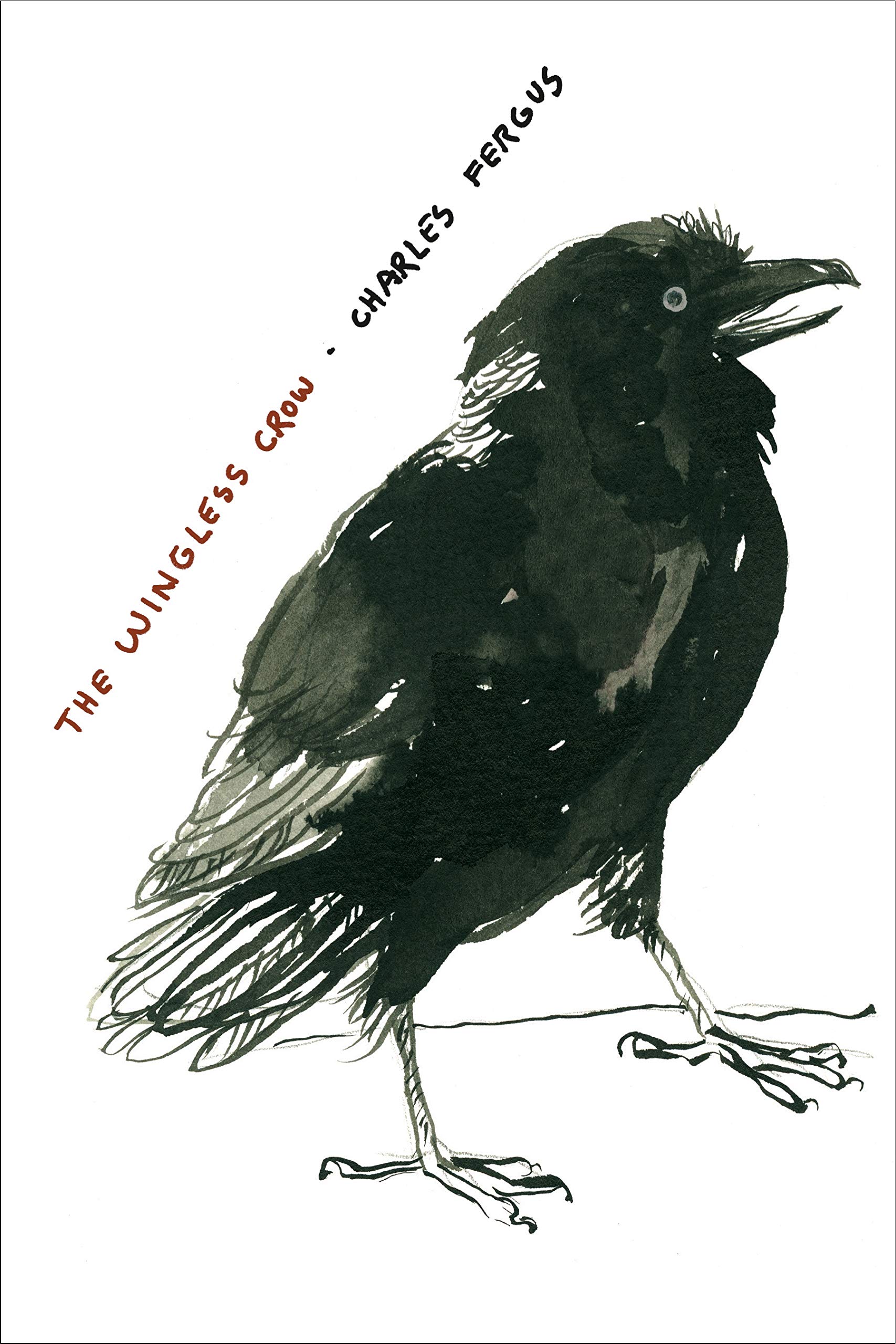 The Wingless Crow: Fergus, Charles: 9780271033037: Amazon.com: Books